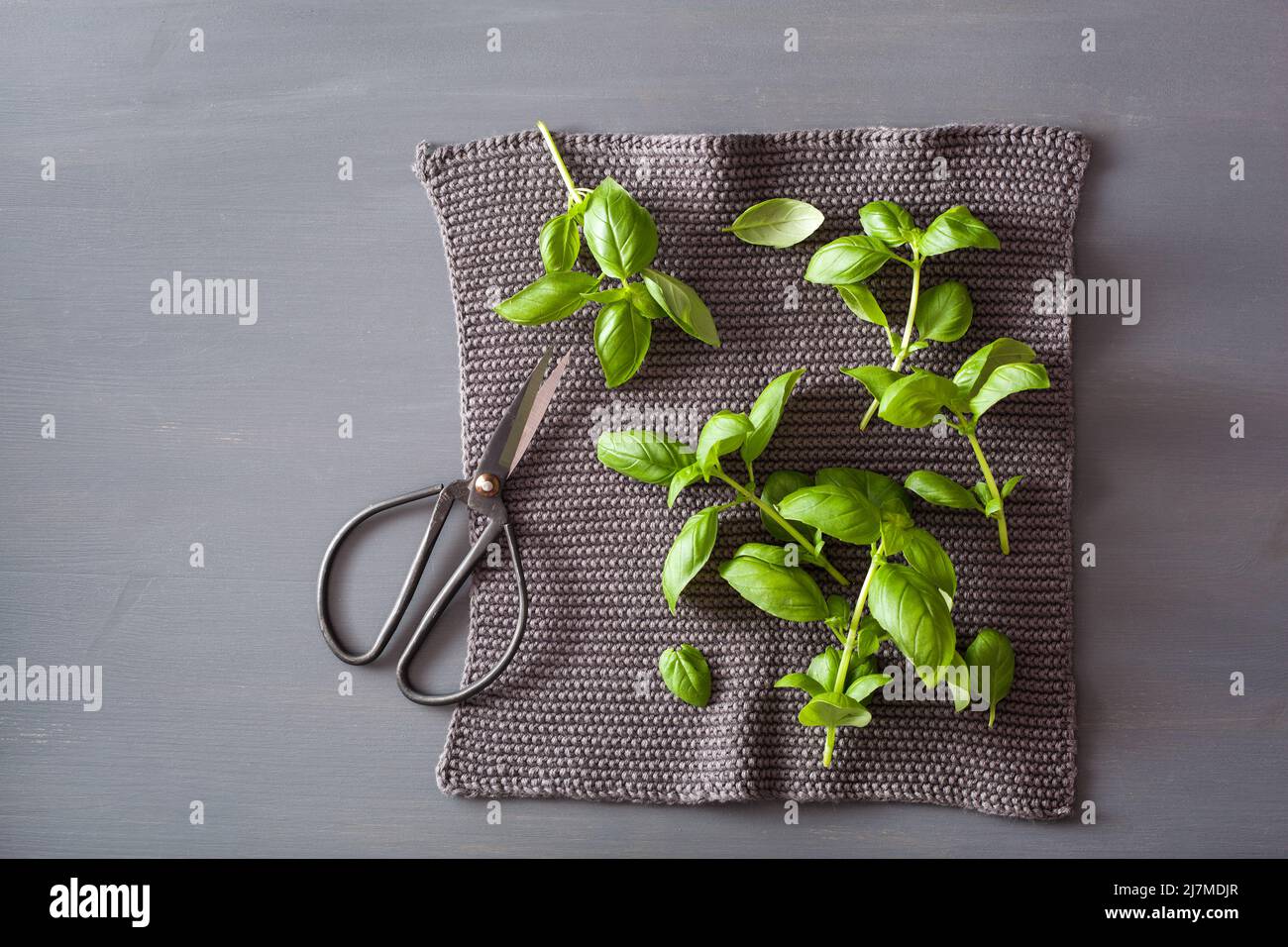 Gray herb hi-res stock photography and images - Alamy