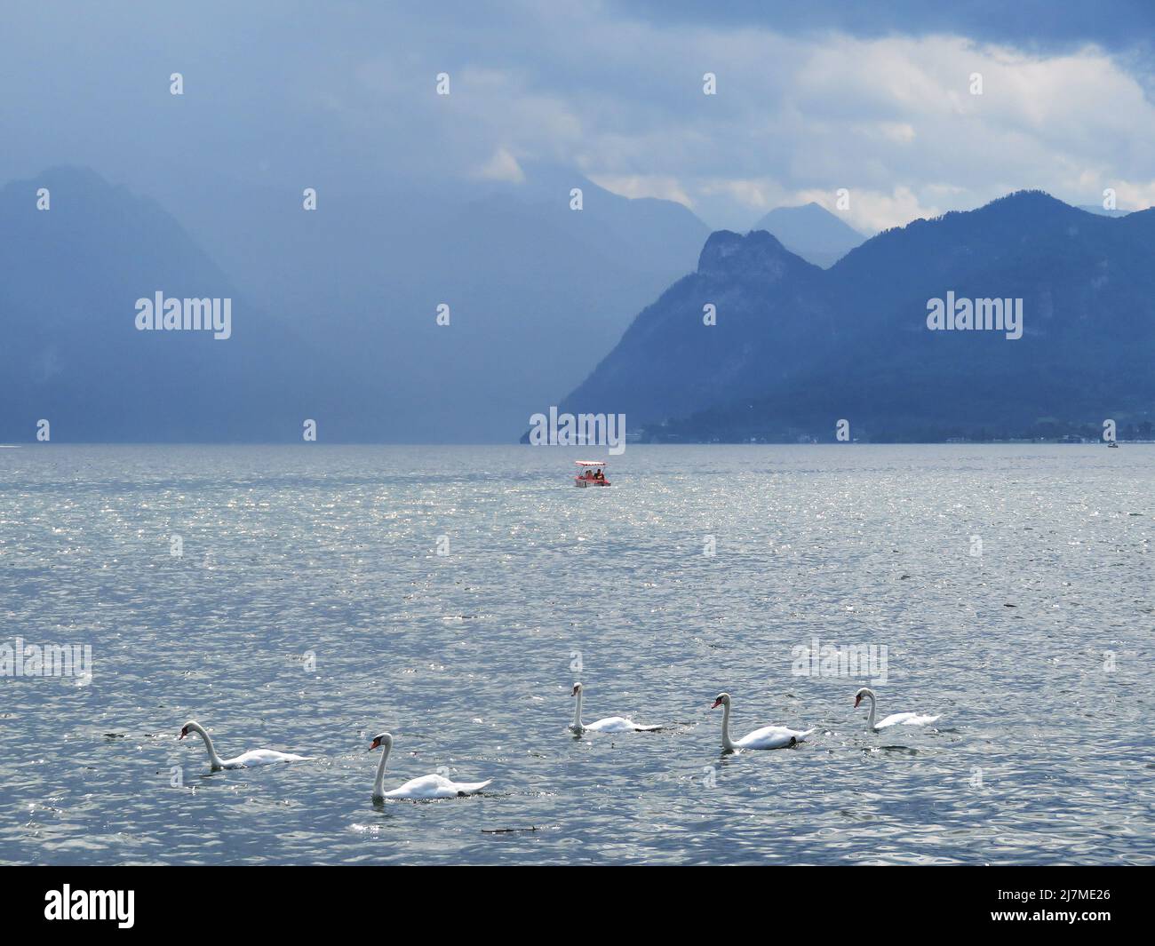 Austria salzkammergut lake traunsee hi-res stock photography and images ...