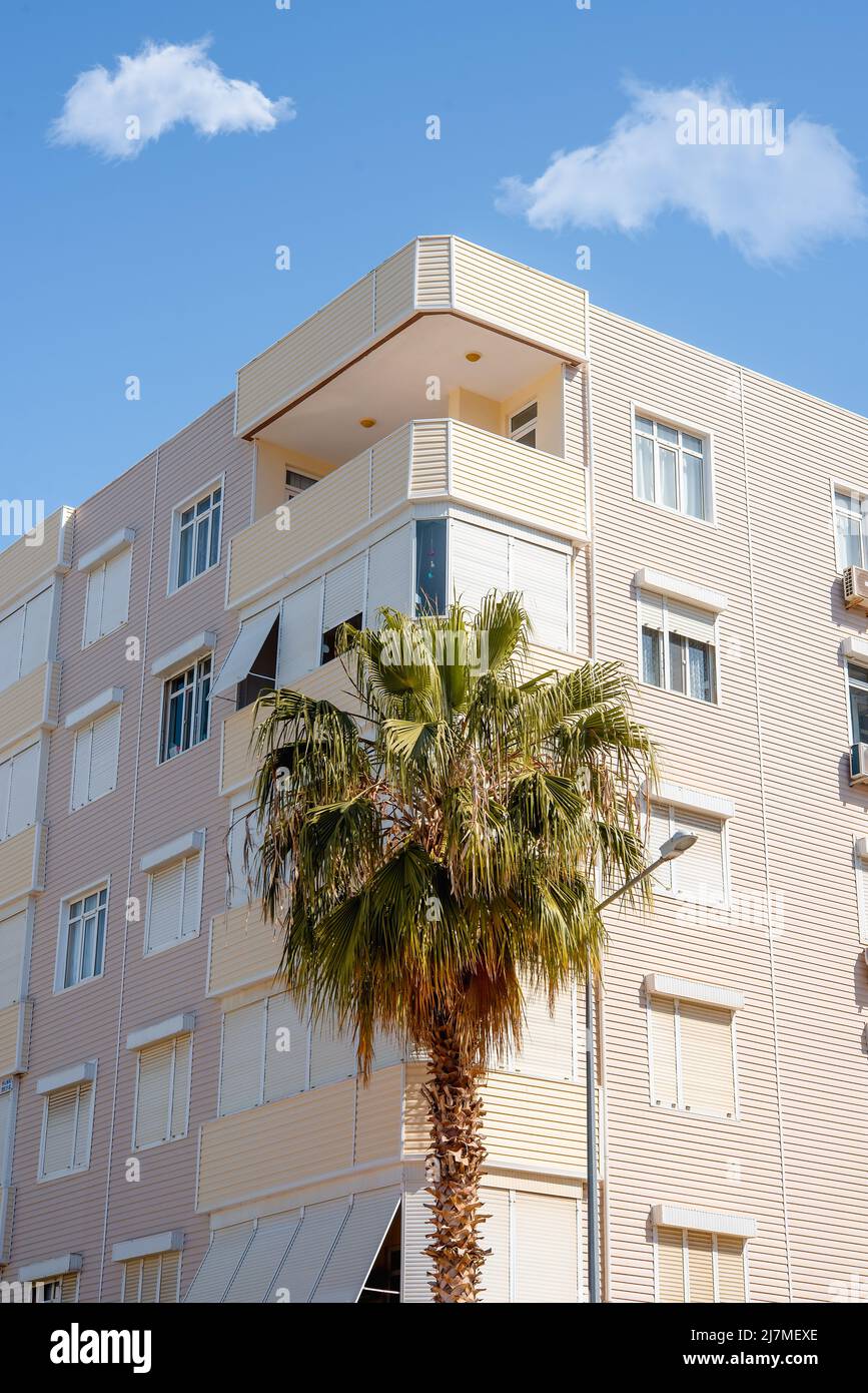 The corner of a residential building with a palm tree growing in the ...