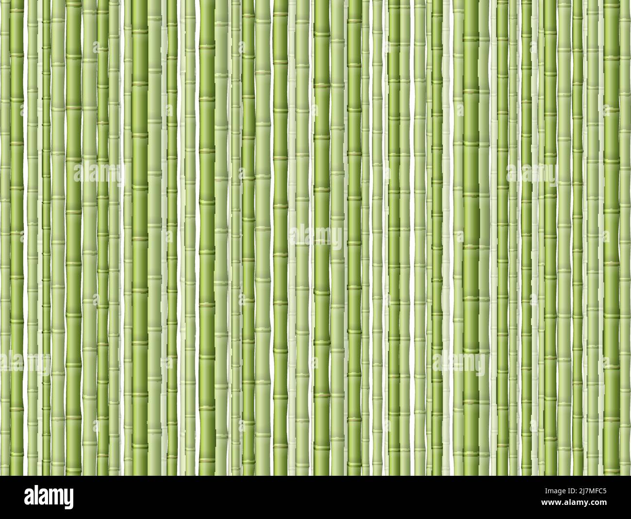 Green bamboo stick pattern background. Vector illustration Stock Vector ...