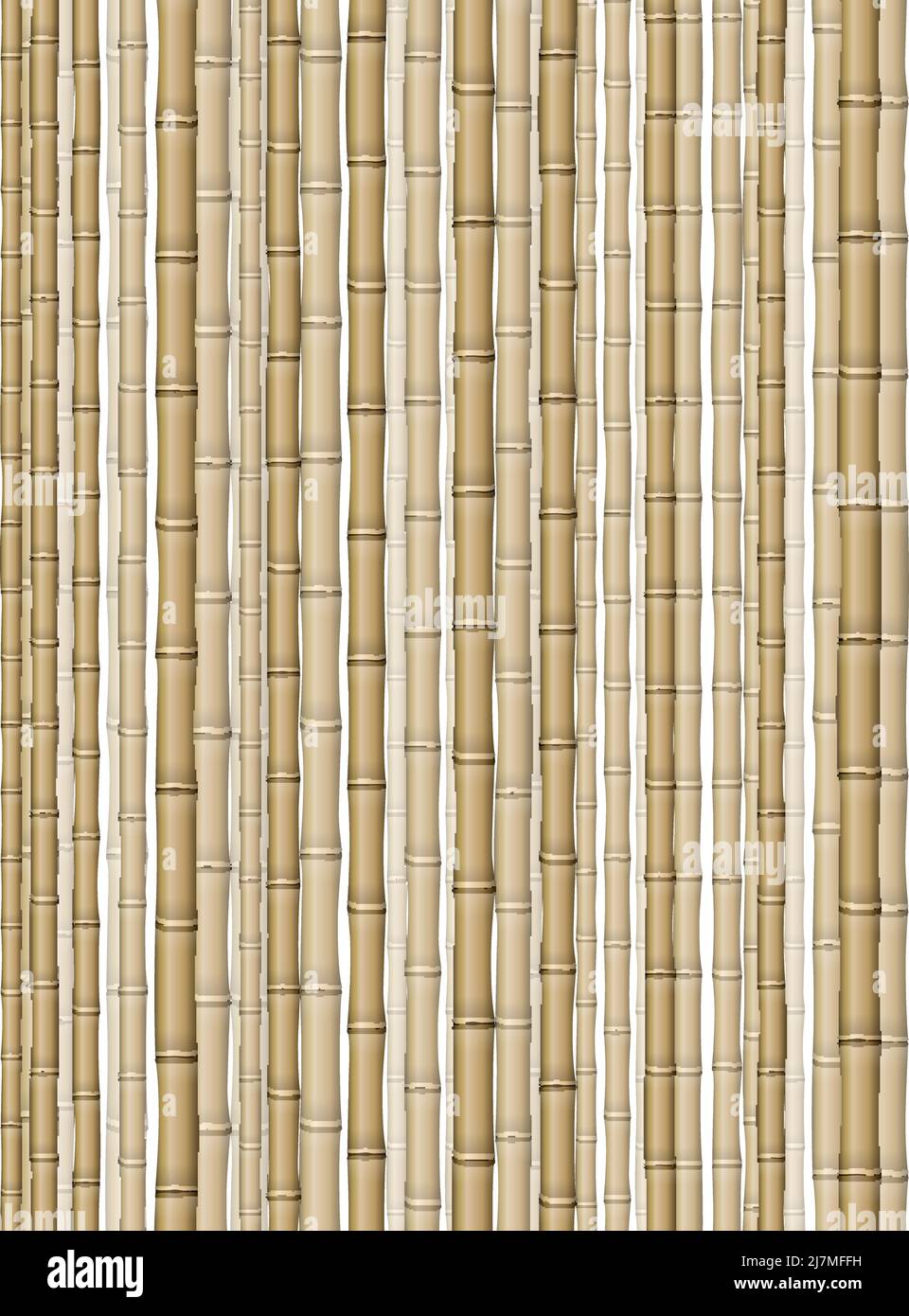 Brown bamboo stick pattern background. Vector illustration Stock Vector ...
