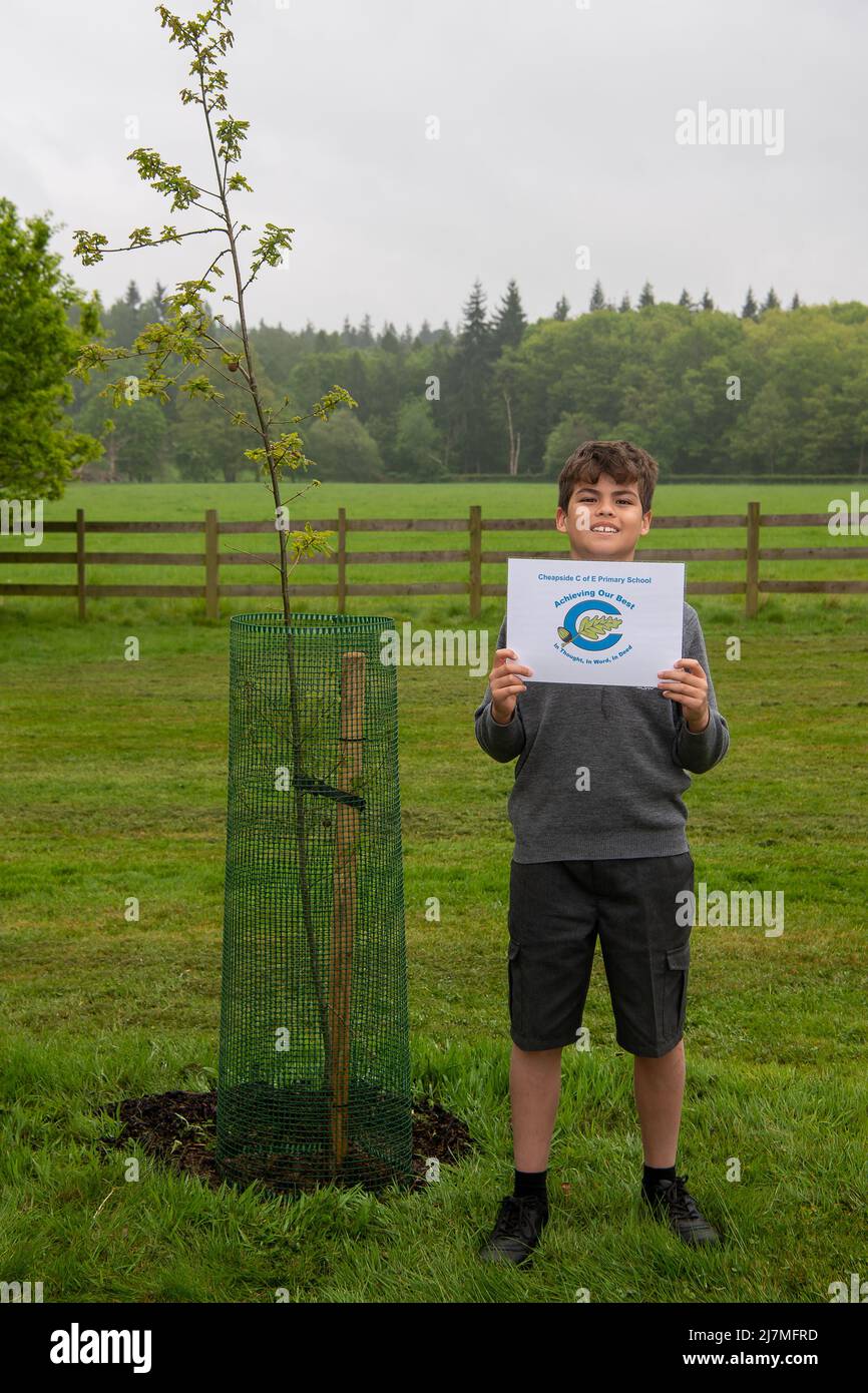 Queen elizabeth diamond jubilee tree hi-res stock photography and ...