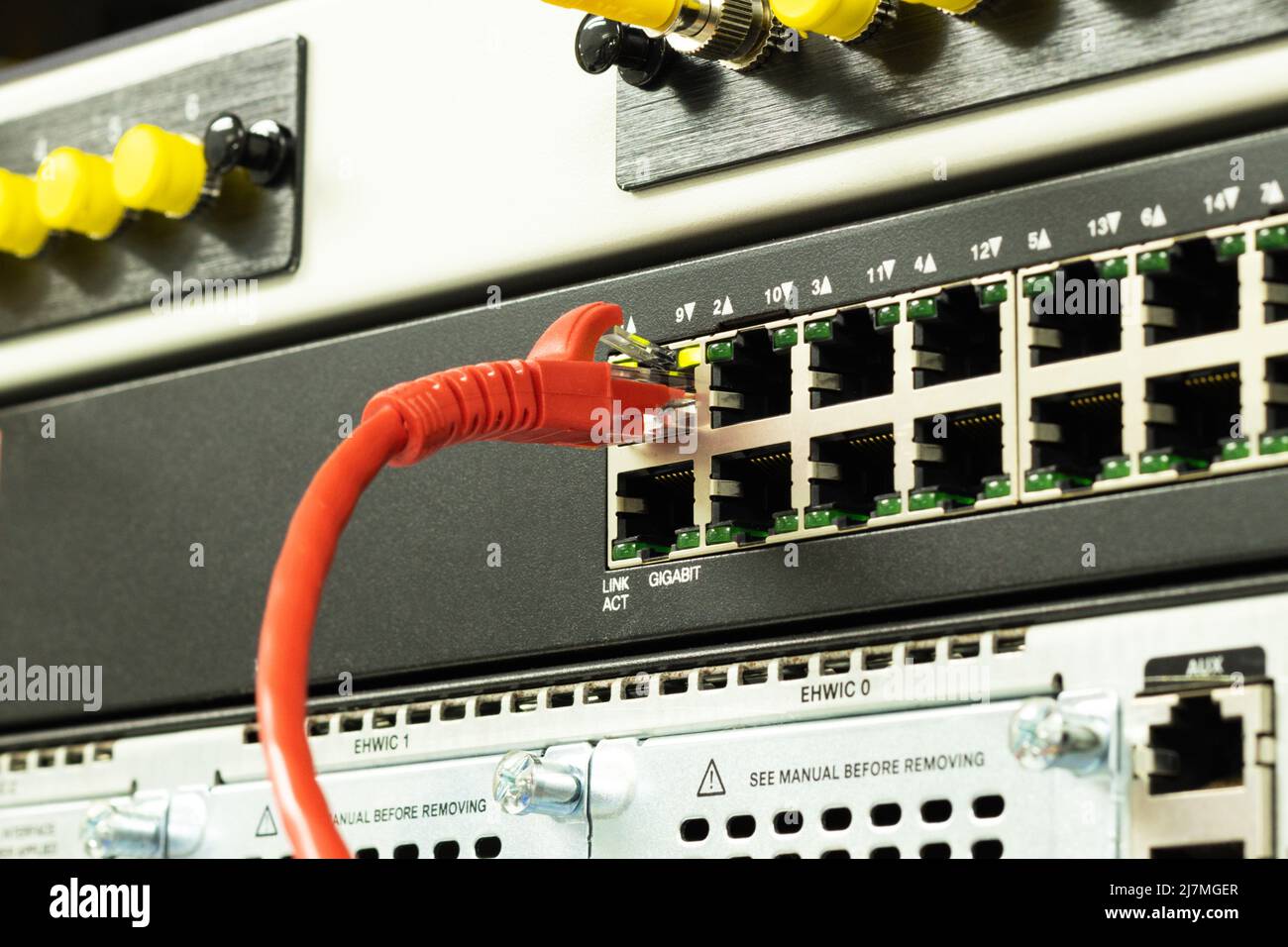 The network cables to connect the port of a switch to connect internet network, concept ...
