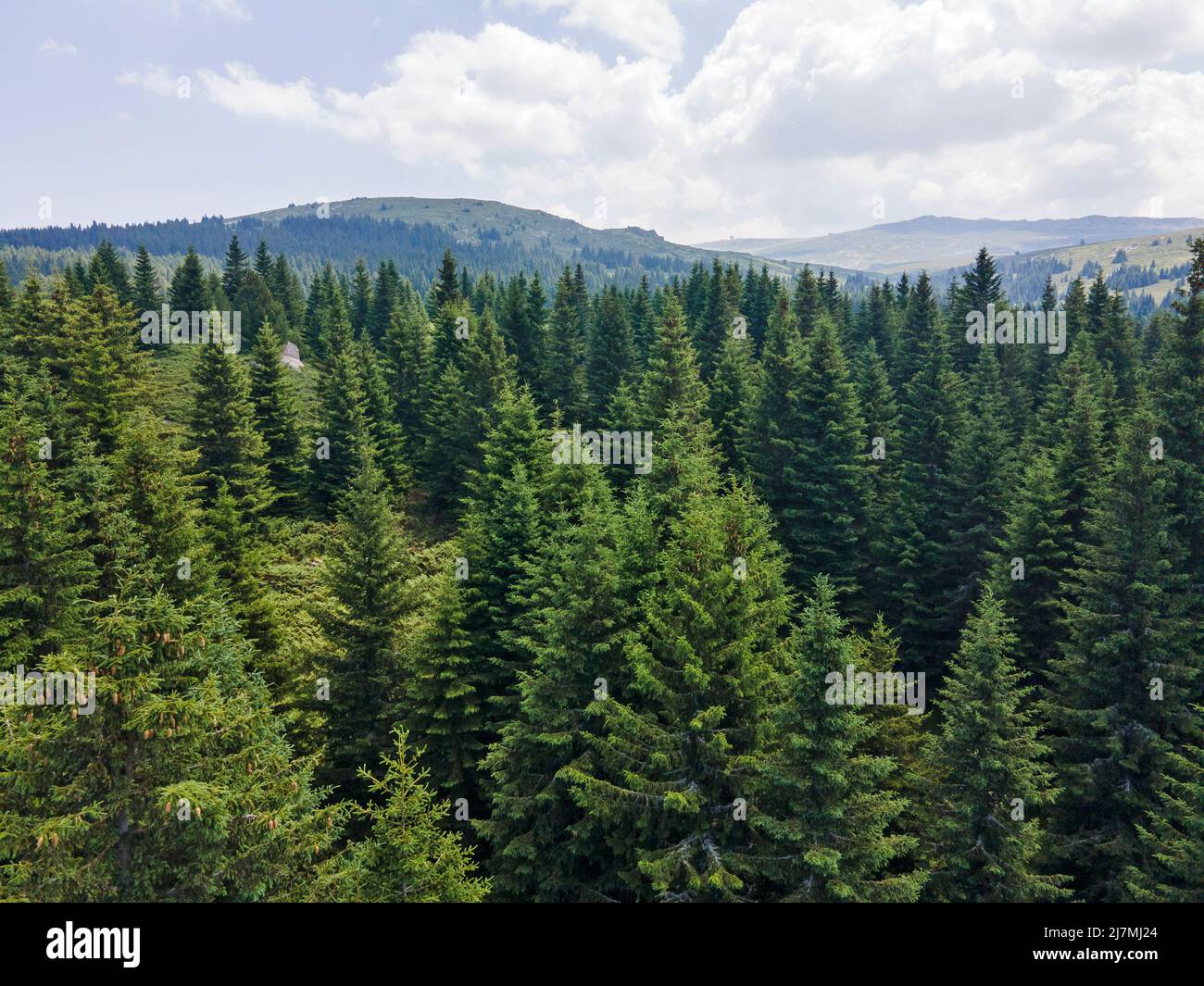 Aerial view of Konyarnika area at Vitosha Mountain, Sofia City Region ...