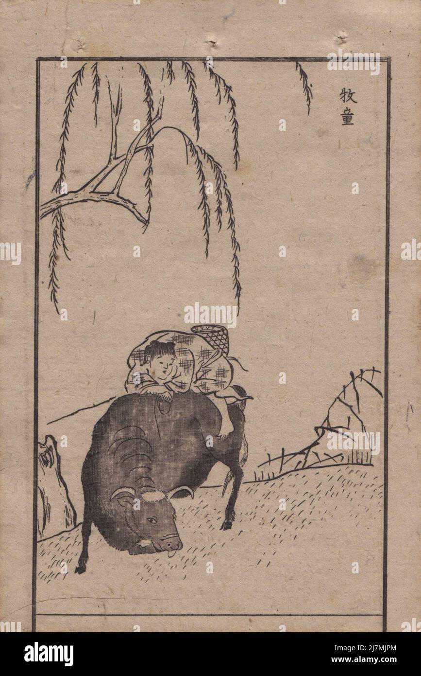 Japanese Meiji Book Engraving Stock Photo - Alamy