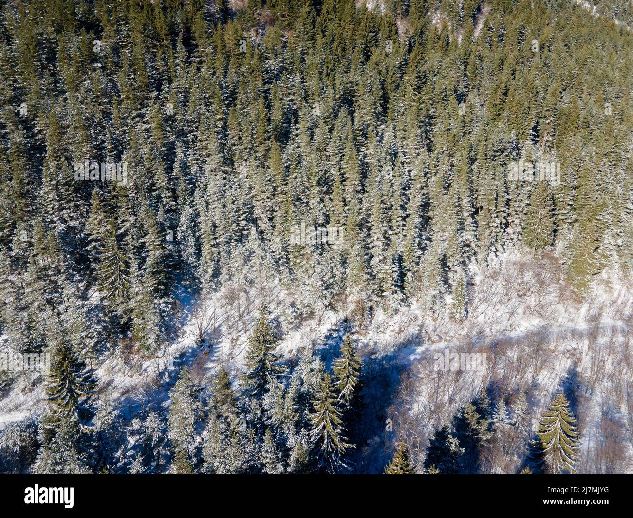 Aerial winter view of Rila Mountain near Beli Iskar river, Sofia Region ...