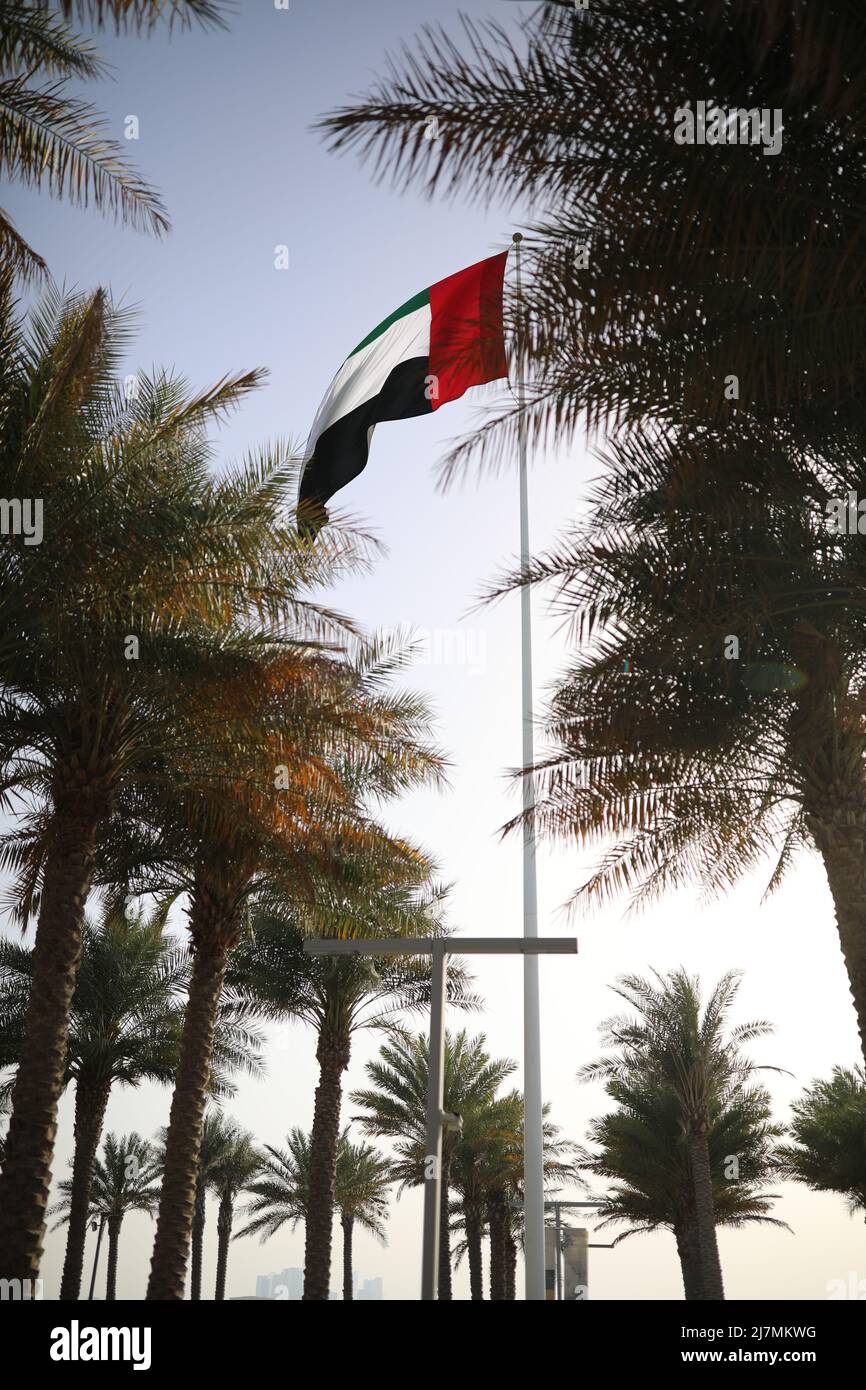 United Arab Emirates Flag in between trees Stock Photo - Alamy