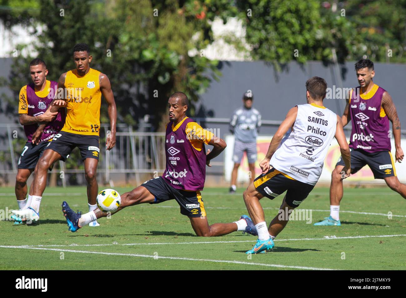 SP - Santos - 05/10/2022 - SANTOS FC, TRAINING - Luiz Felipe Santos ...