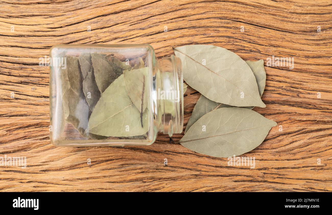 Texture dried bay leaves hi-res stock photography and images - Alamy