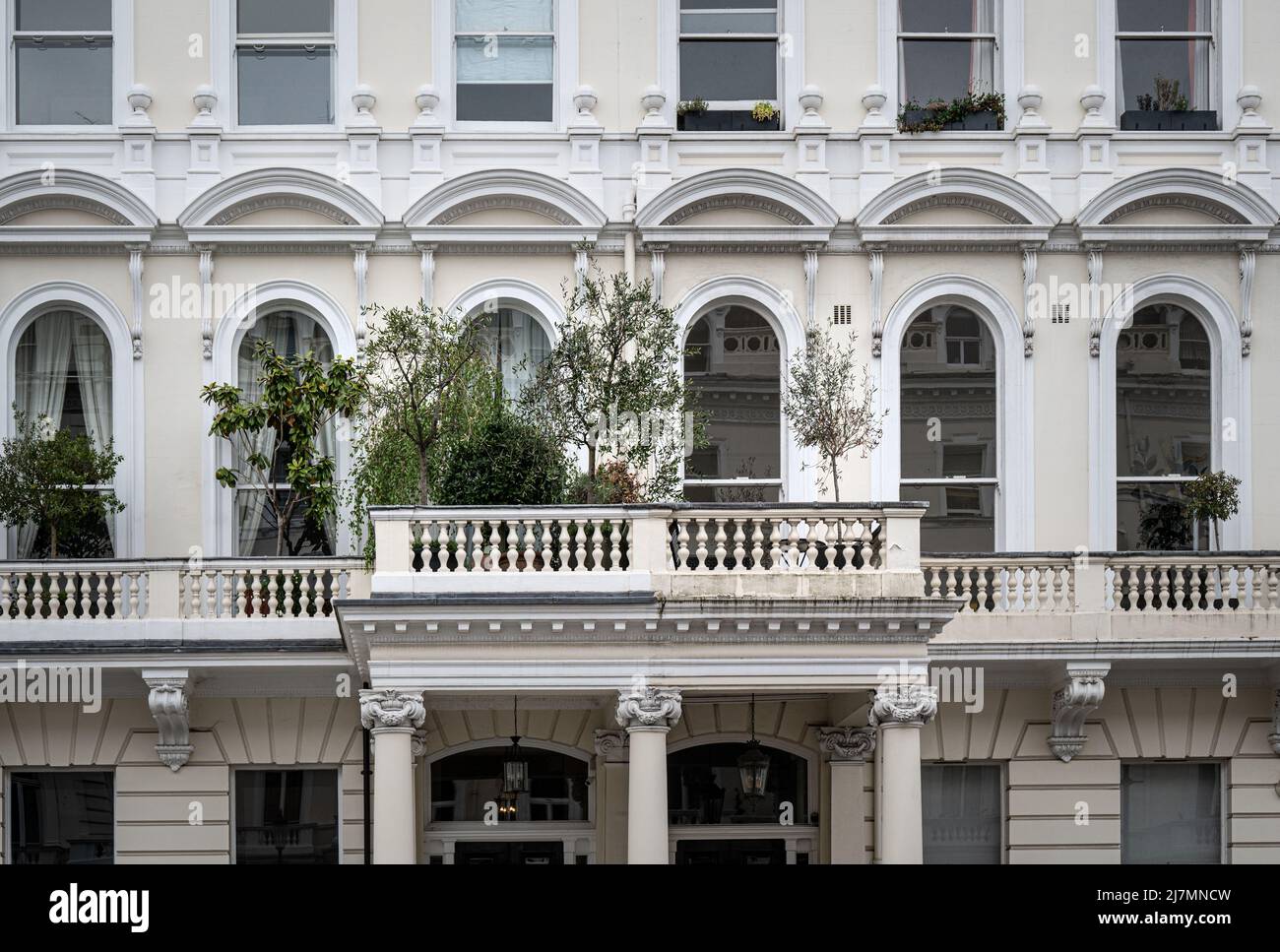 Balcony of an expensive London townhouse growing plants and shrubs ...