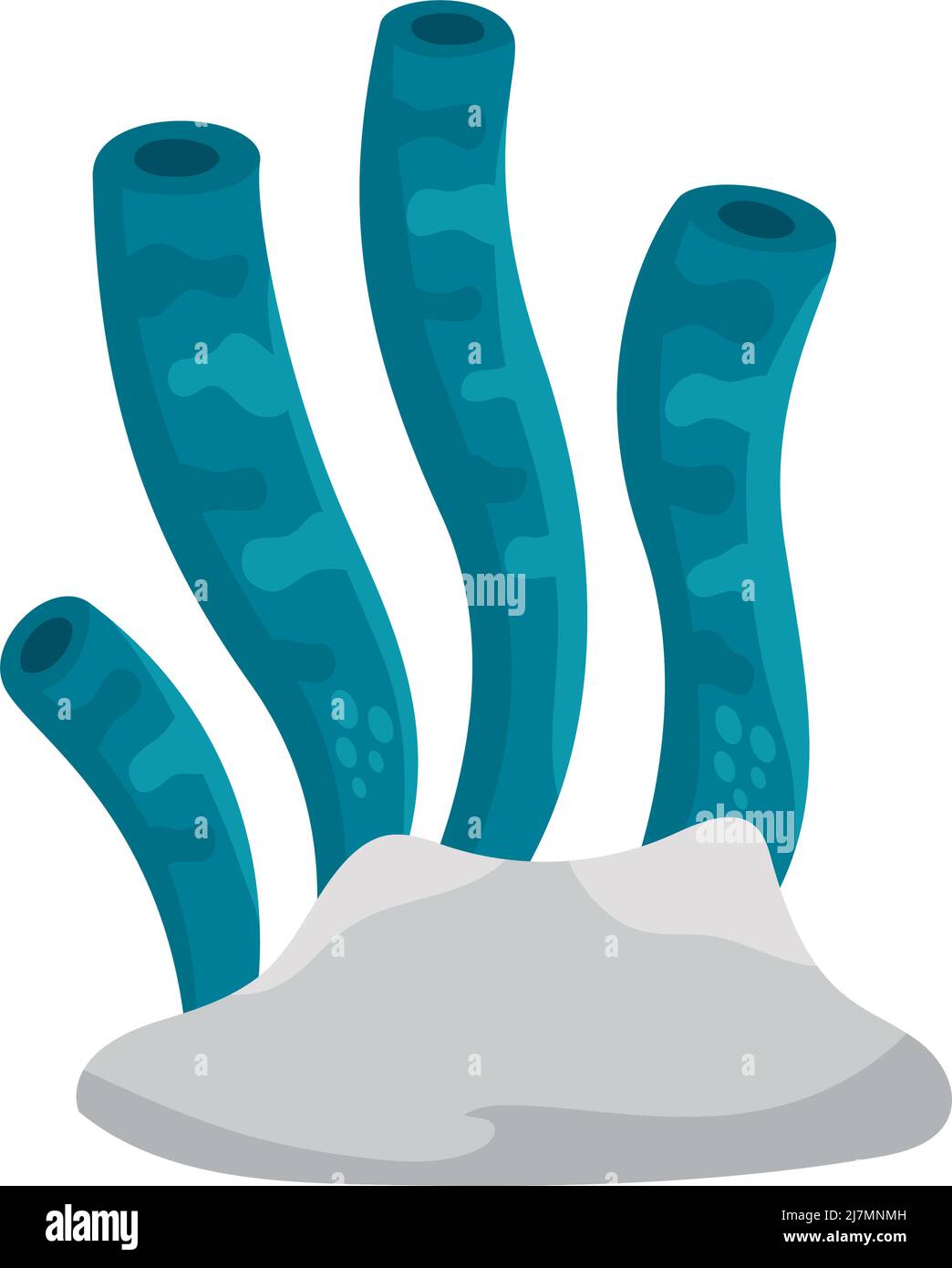 Seaweed and rocks Cut Out Stock Images & Pictures - Alamy