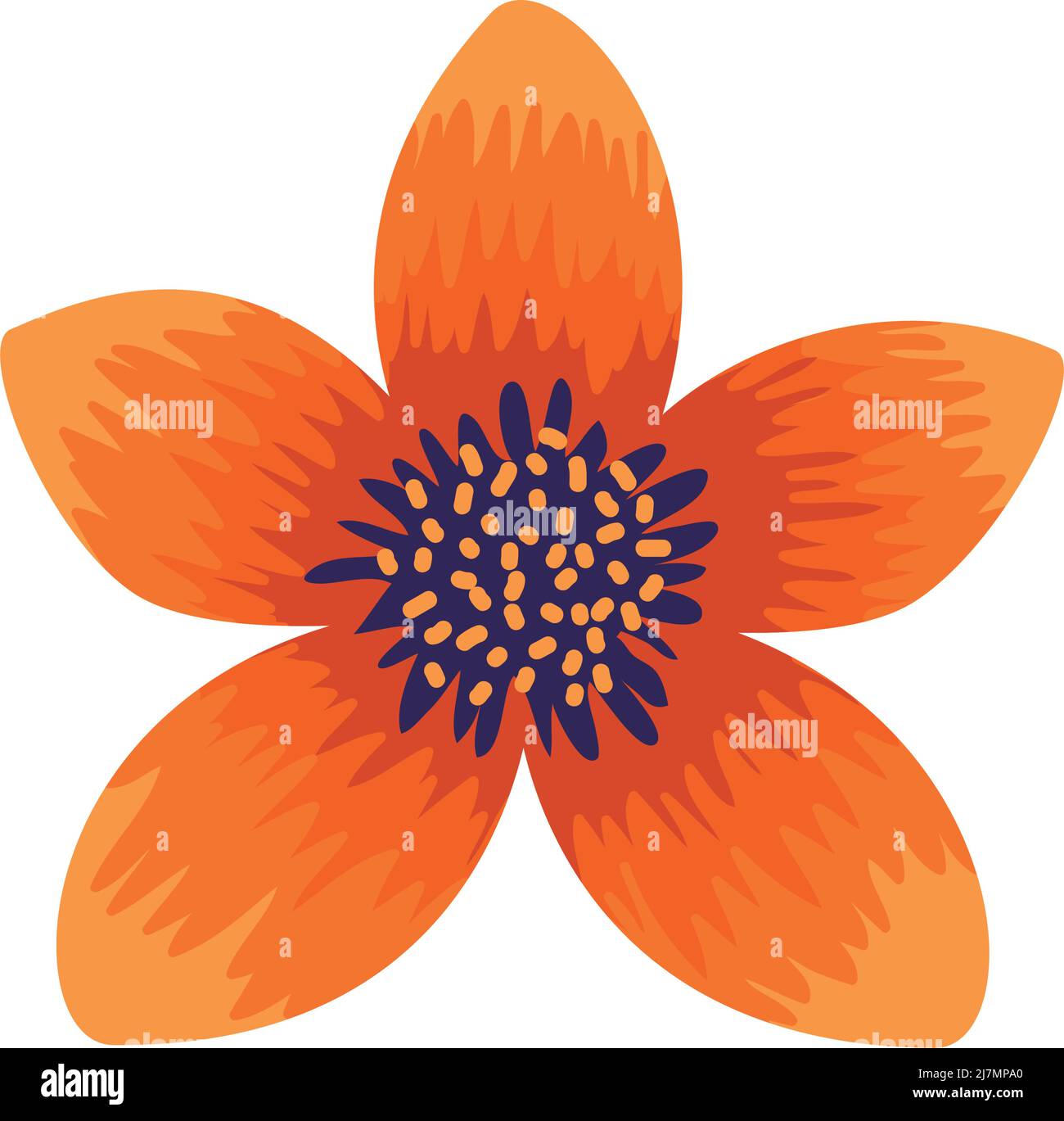 orange natural flower decorative icon Stock Vector Image & Art - Alamy