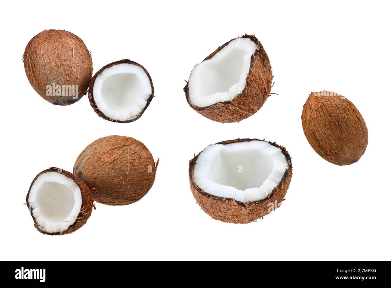 Coconut isolated on white background. Top view Stock Photo - Alamy
