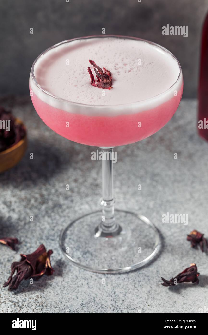 Boozy Refreshing Vodka Hibiscus Pink Cocktail in a Coupe Glass Stock ...