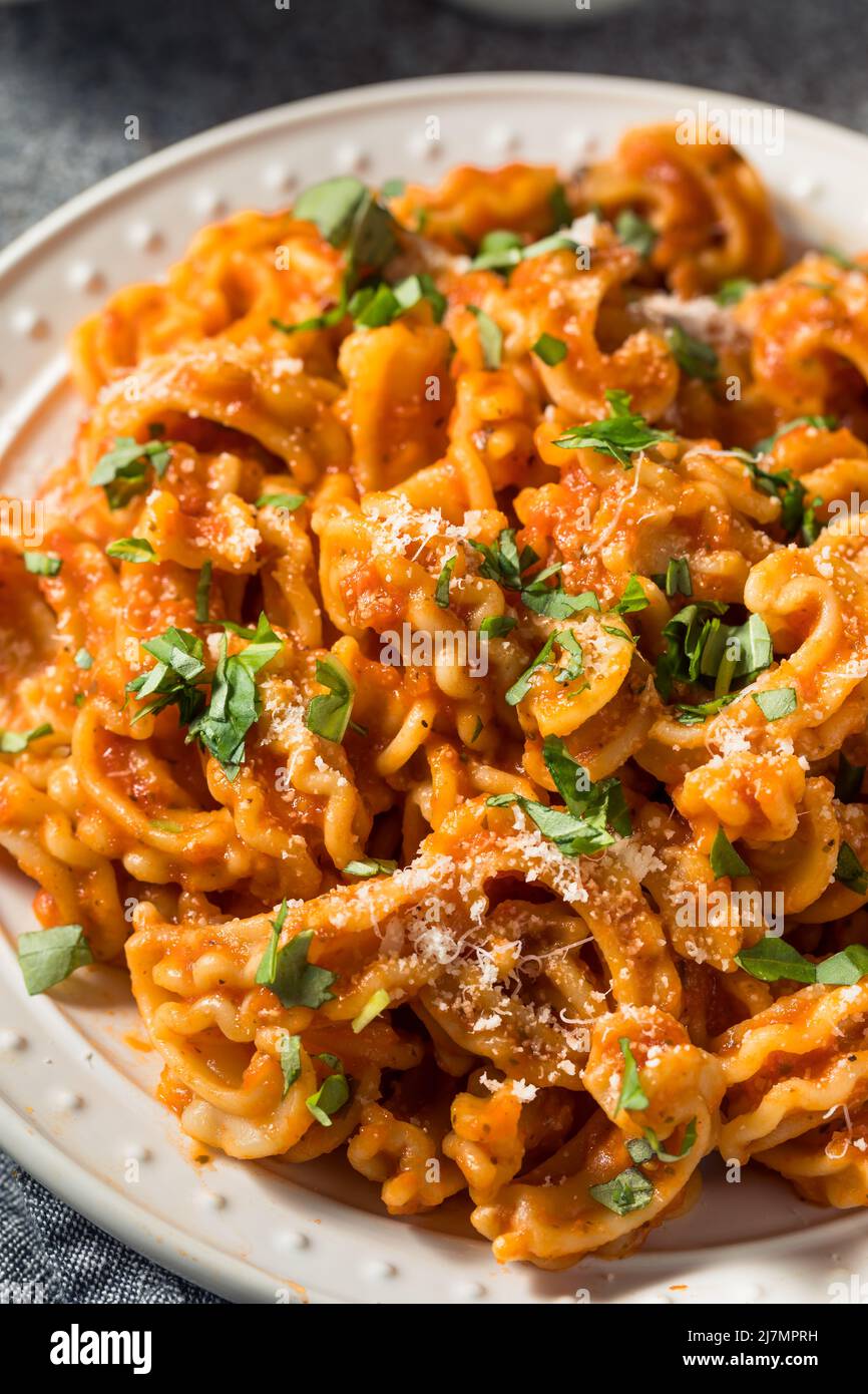 Homemade Italian Cascatelli Pasta with Tomato Sauce and Basil Stock ...