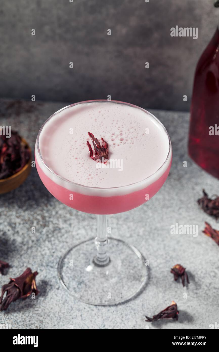 Boozy Refreshing Vodka Hibiscus Pink Cocktail in a Coupe Glass Stock ...
