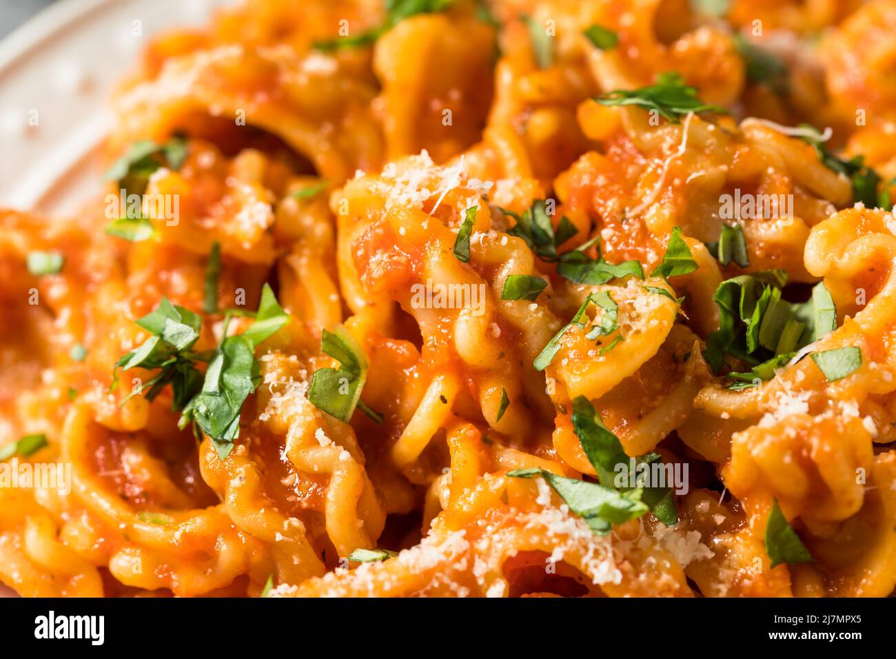 Homemade Italian Cascatelli Pasta with Tomato Sauce and Basil Stock ...
