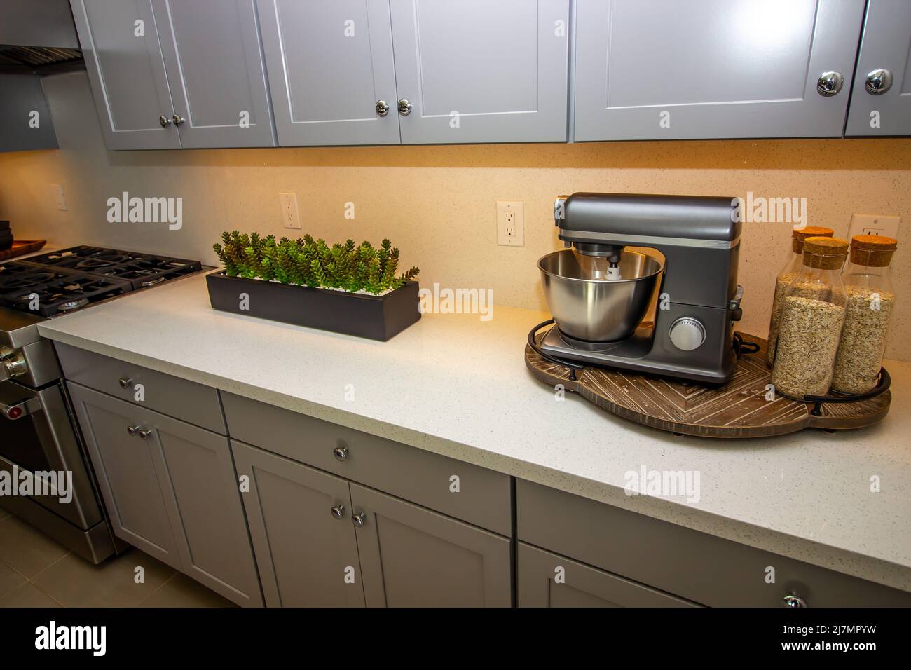 Kitchen Counter Top With Plant And Designer Tray With Mixing Machine ...