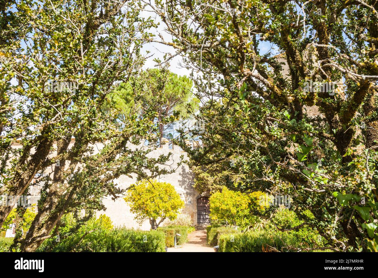 Monastery castle wall from Tomar with trees in front Stock Photo - Alamy