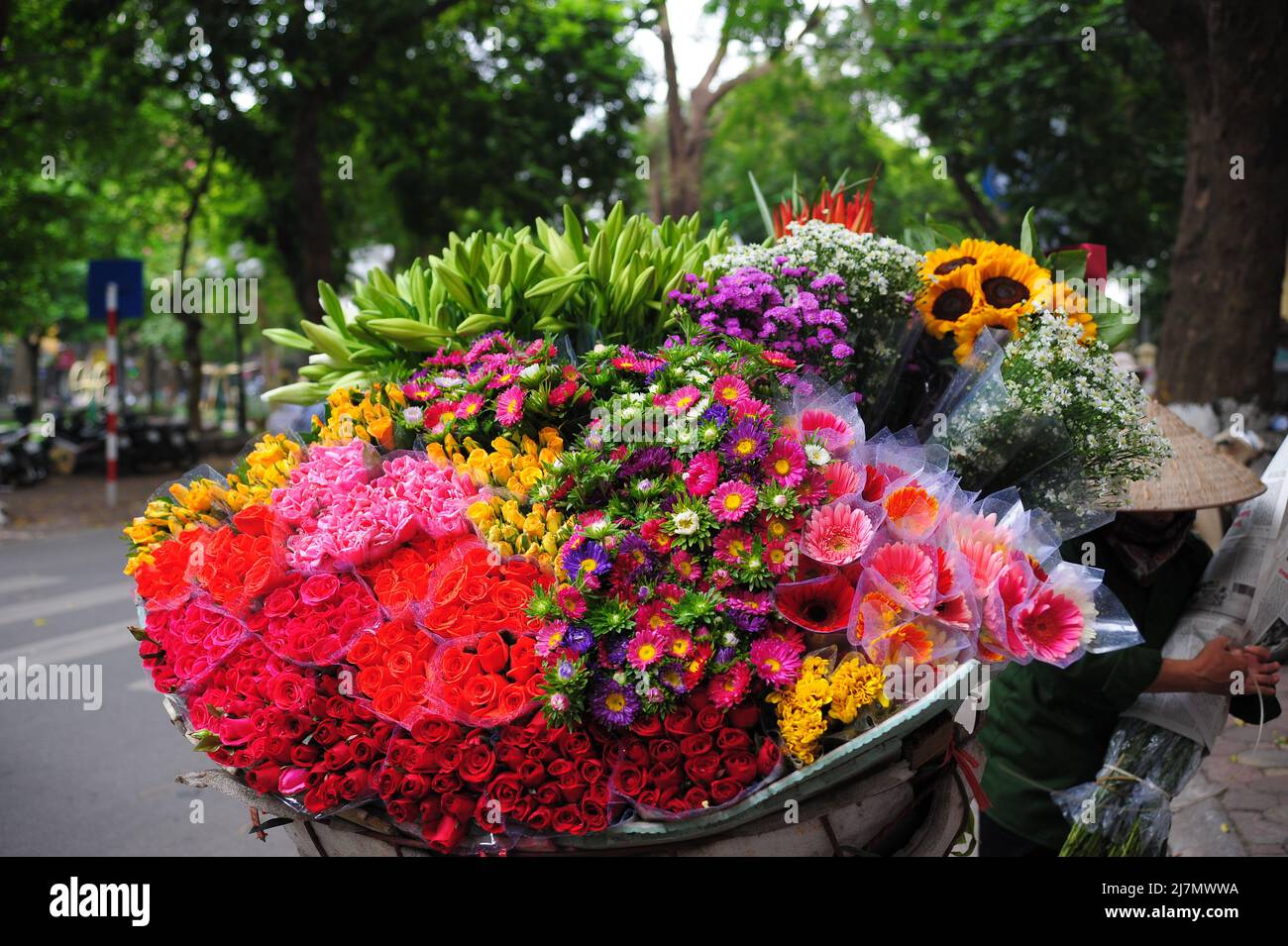 Daisy on the street hi-res stock photography and images - Alamy