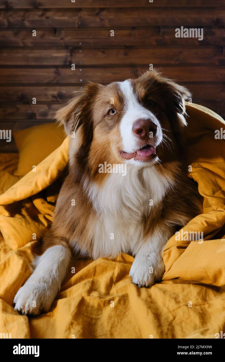 Behave hotel hi-res stock photography and images - Alamy