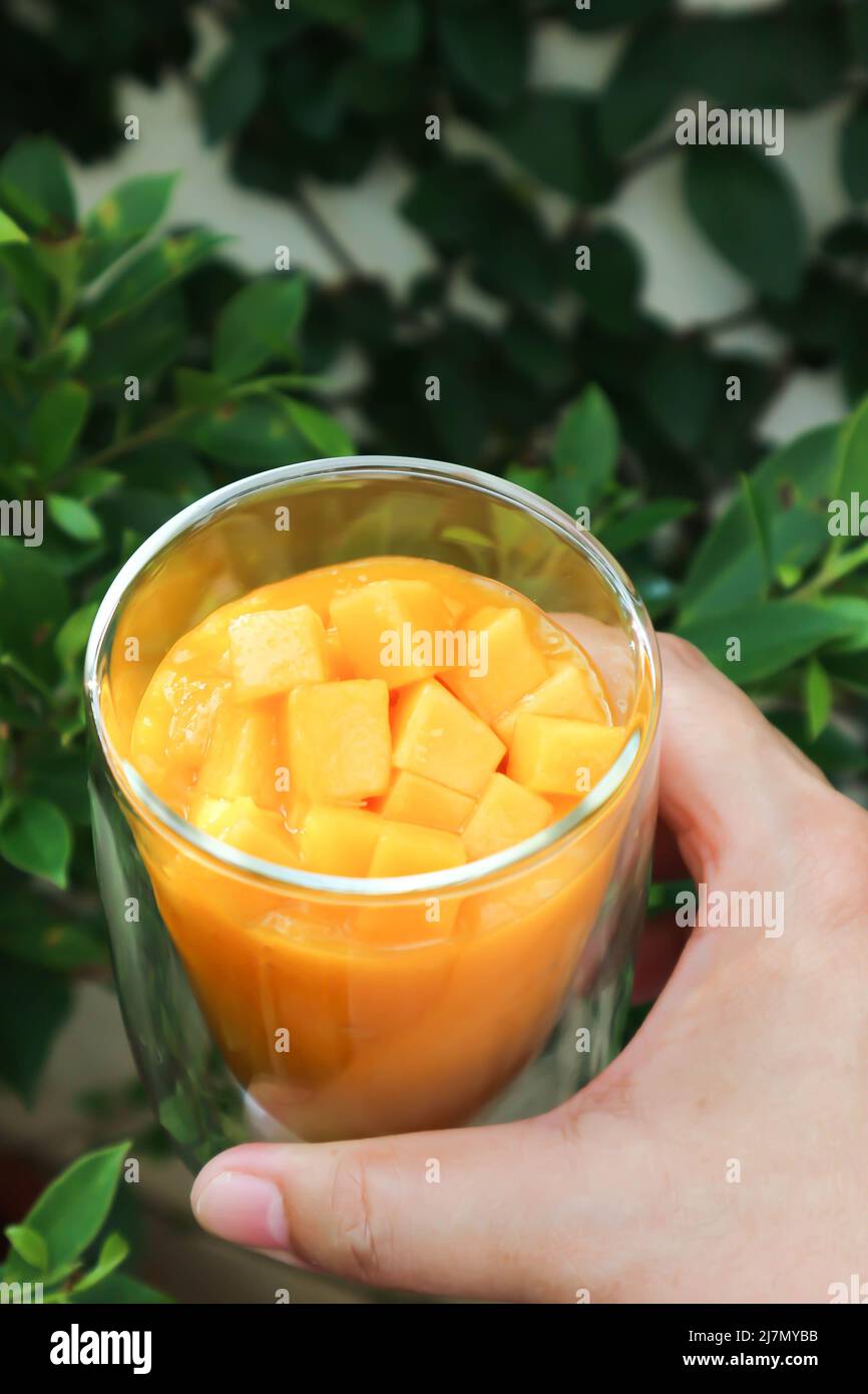 mango smoothie or mango yogurt smoothie , blended mango for serve Stock ...