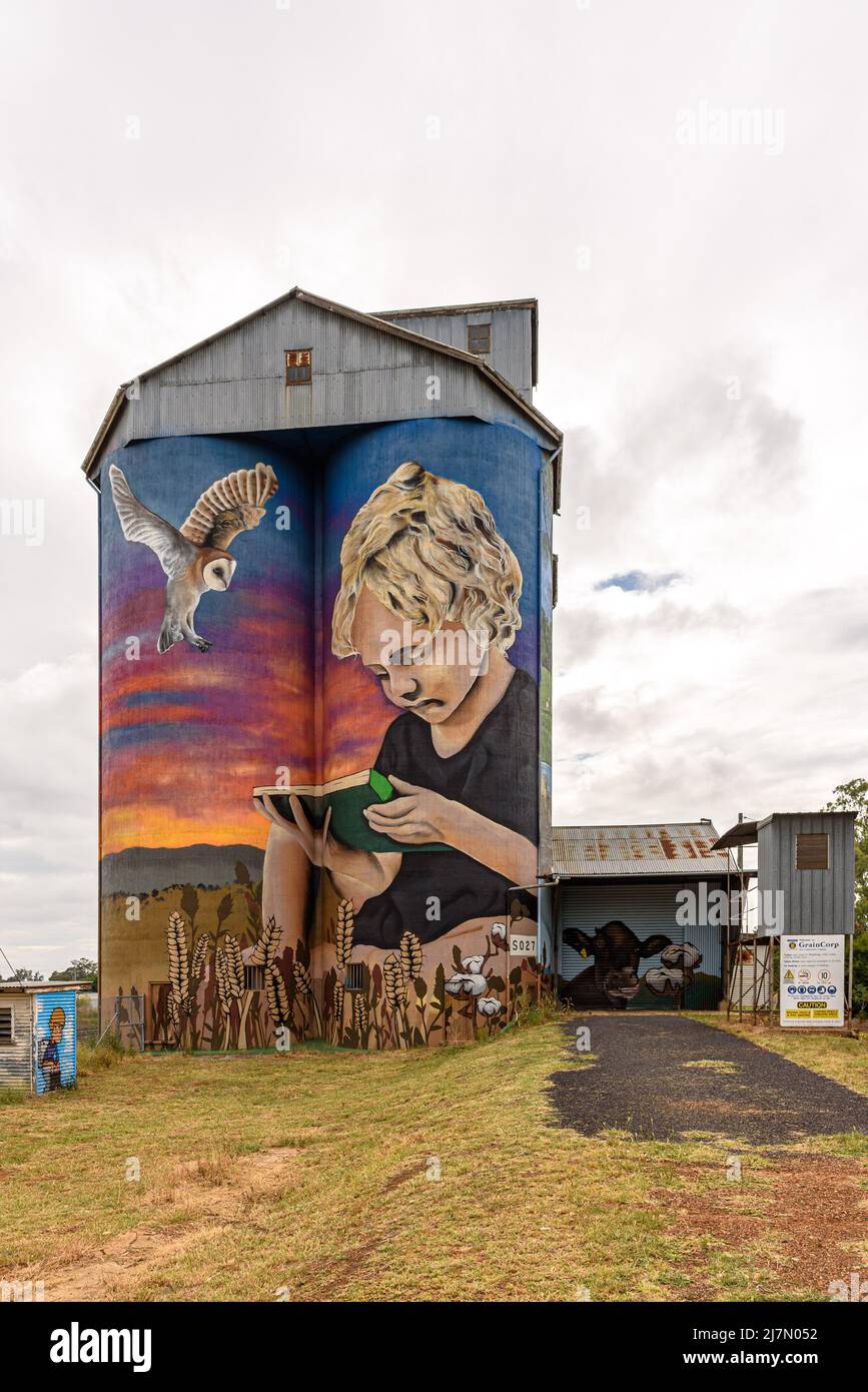 The Dunedoo silo art featuring art painted by Daniel Krause Stock Photo ...
