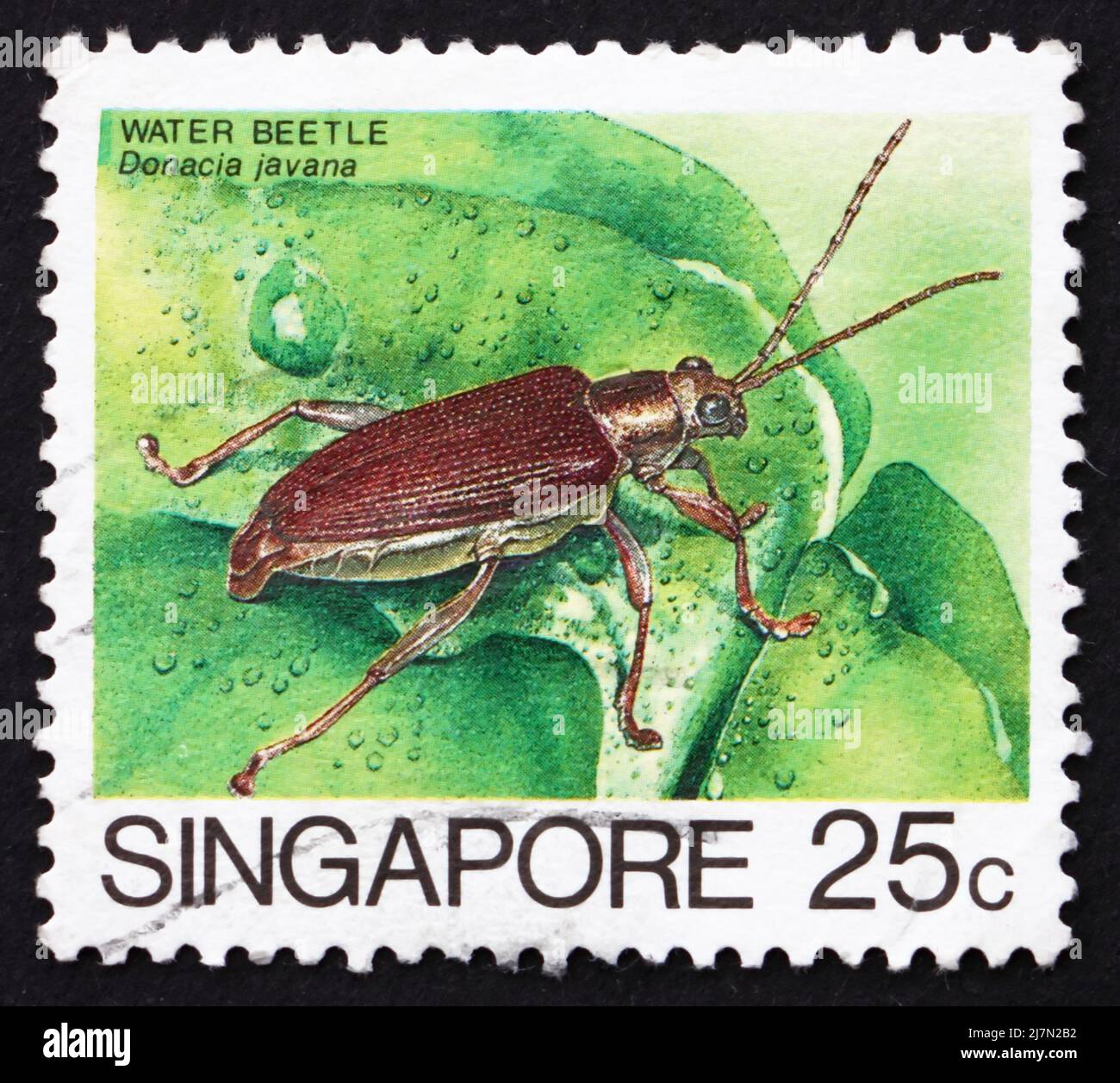 SINGAPORE - CIRCA 1985: a stamp printed in the Singapore shows Water ...