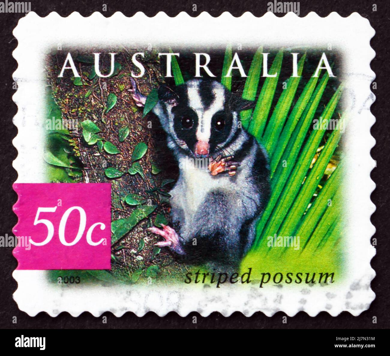 AUSTRALIA - CIRCA 2003: a stamp printed in the Australia shows Striped ...