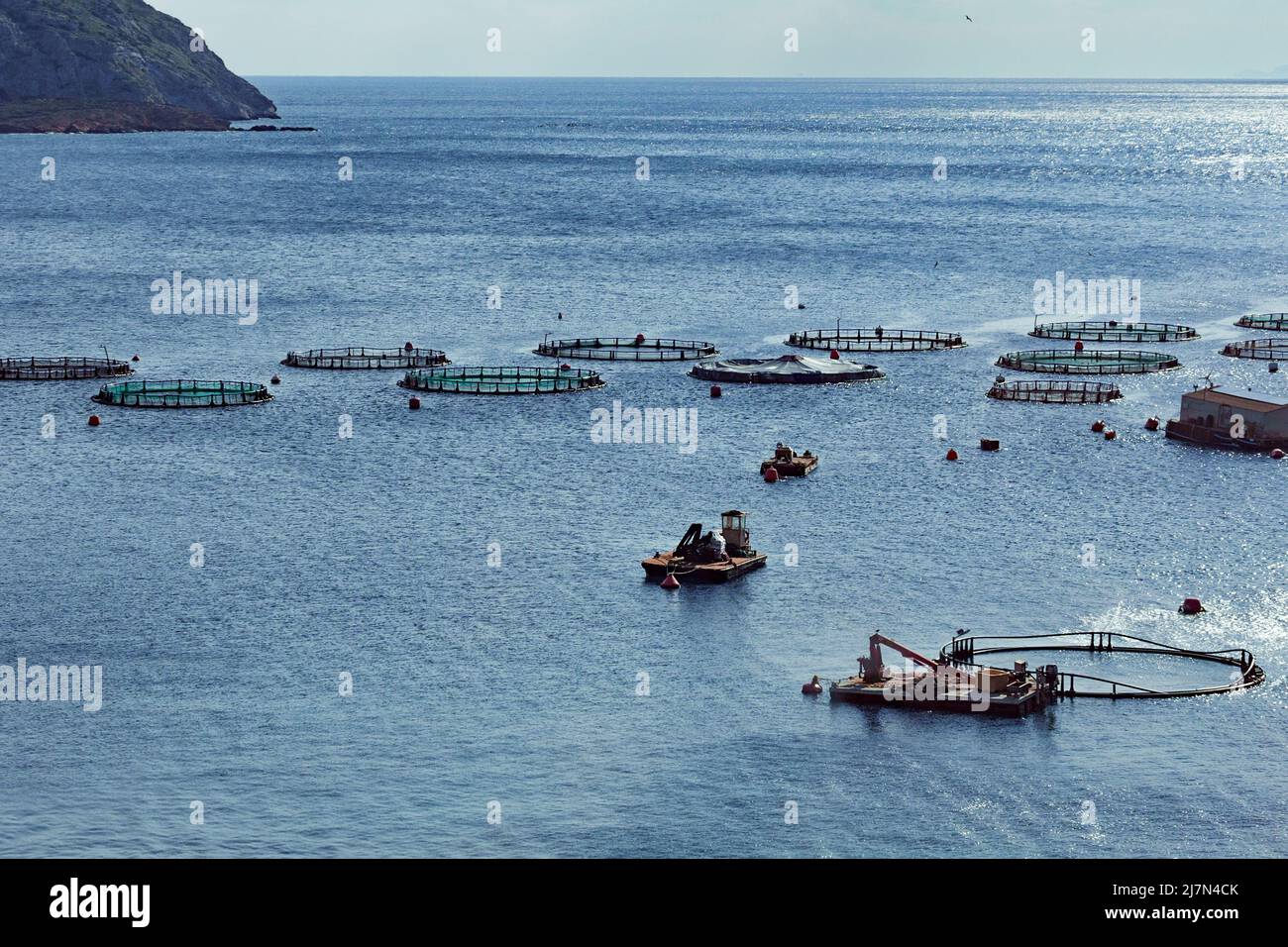 Aquaculture settlement, fish farm with floating circle cages around bay ...