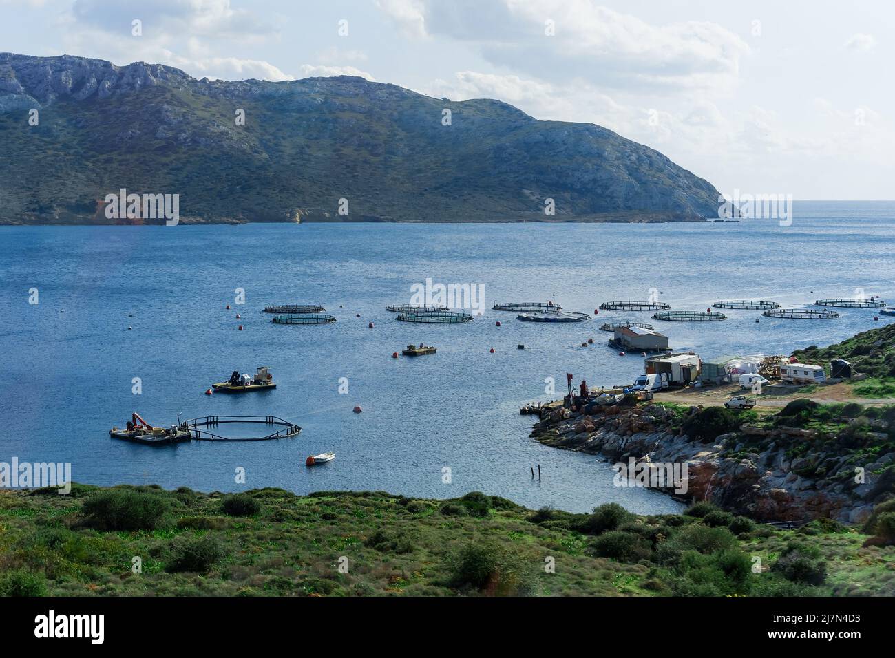 Aquaculture settlement, fish farm with floating circle cages around bay ...