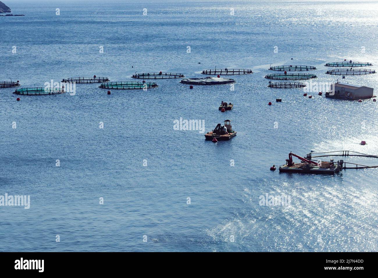 Aquaculture settlement, fish farm with floating circle cages around bay ...