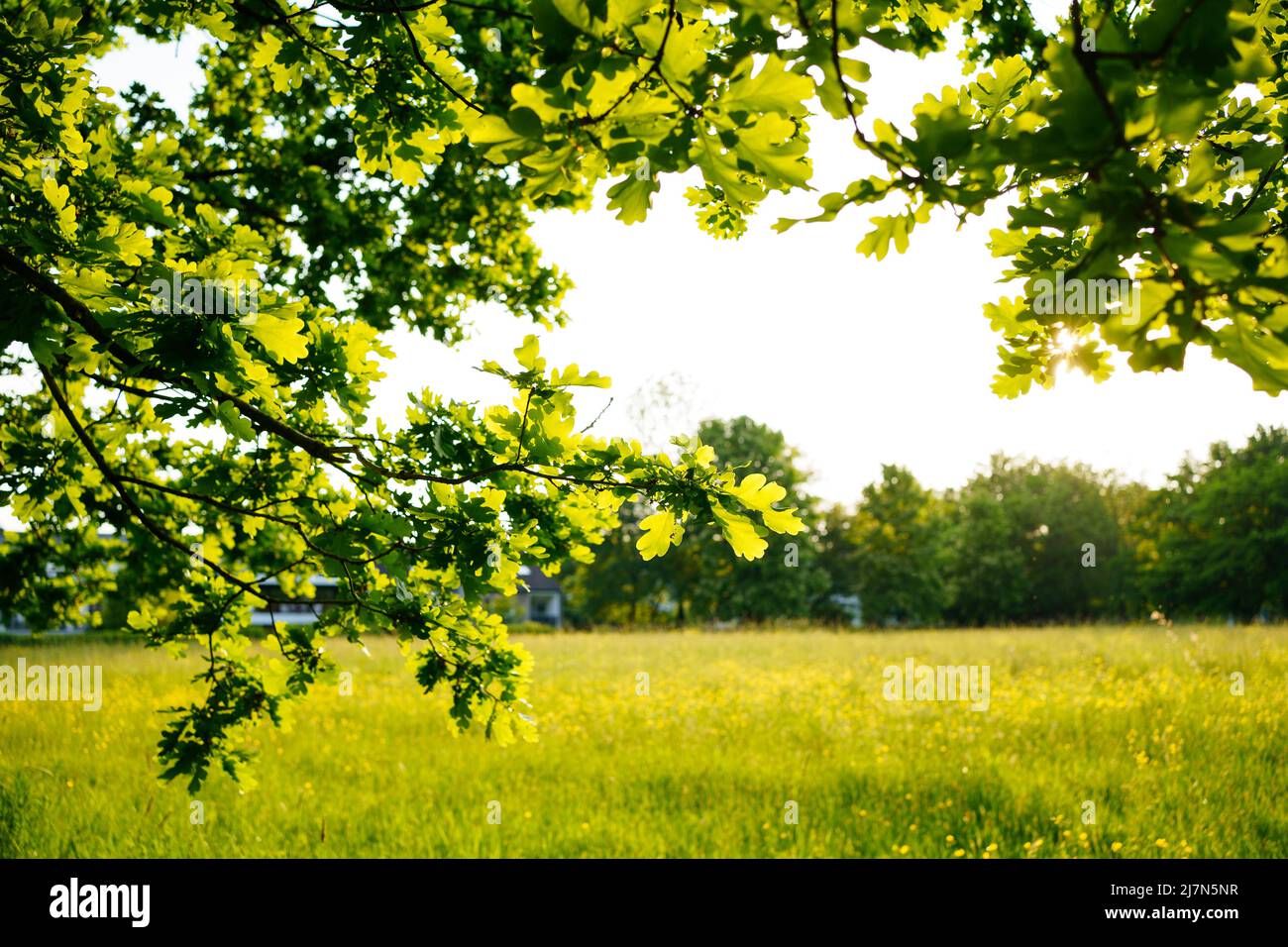 Environmental infographics hi-res stock photography and images - Alamy