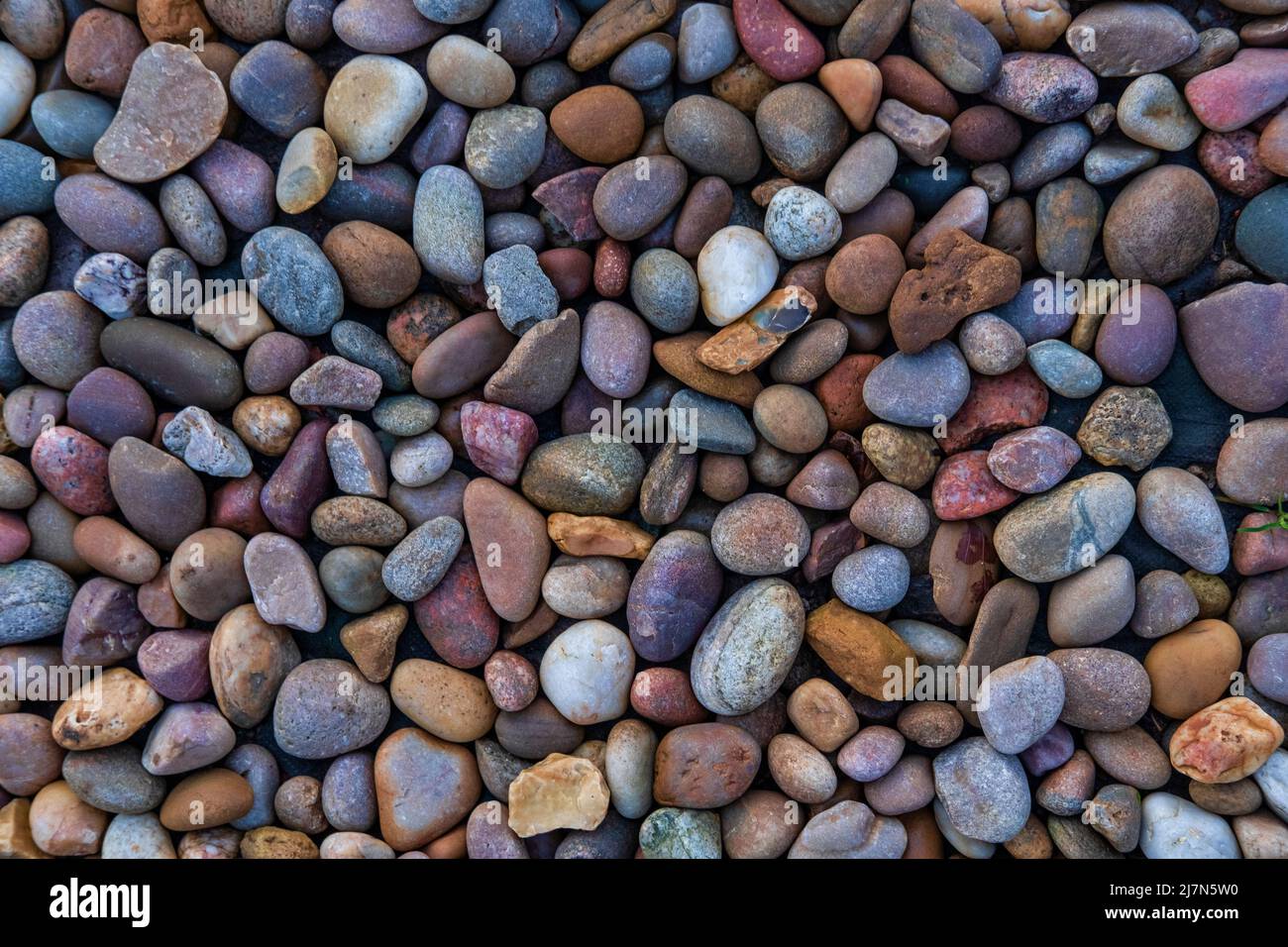 Mineral background featuring river stones in muted colors scattered ...