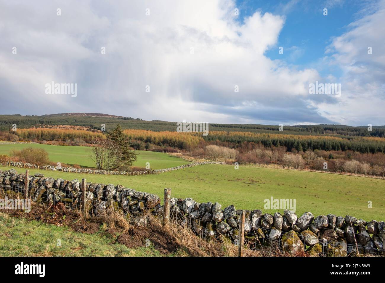 Rural landscape pastures forests clouds hi-res stock photography and ...