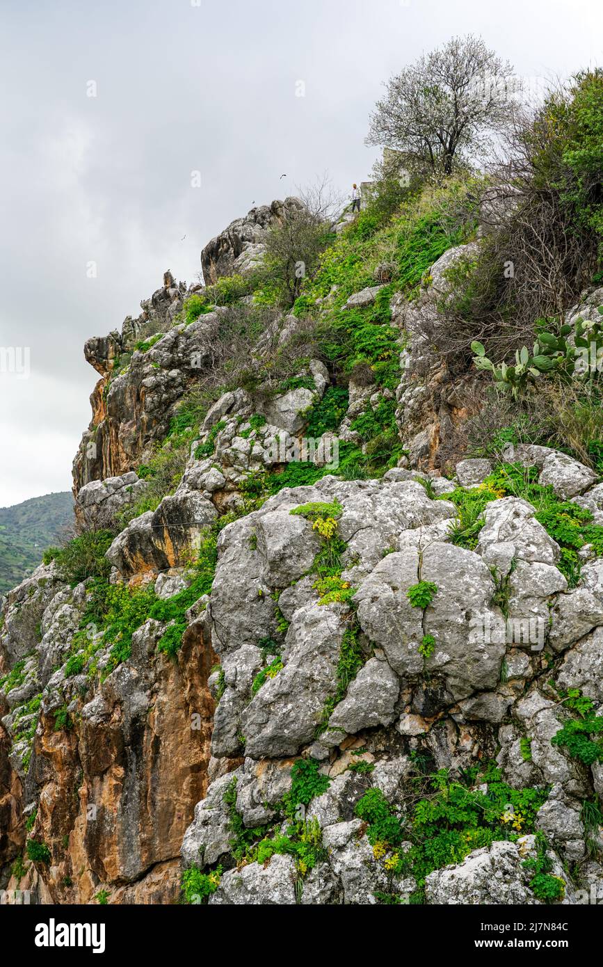 Paphos springtime hi-res stock photography and images - Alamy
