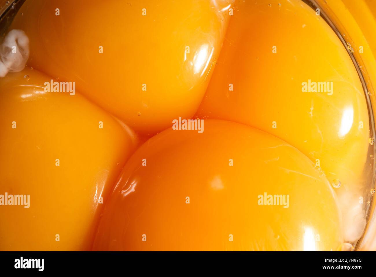 Close-up of egg yolks. Broken eggs and yolks next to each other. Smooth ...