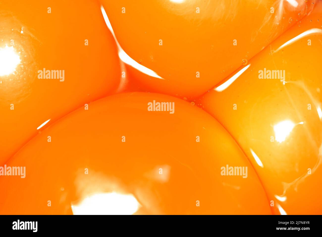 Close-up of egg yolks. Broken eggs and yolks next to each other. Smooth ...