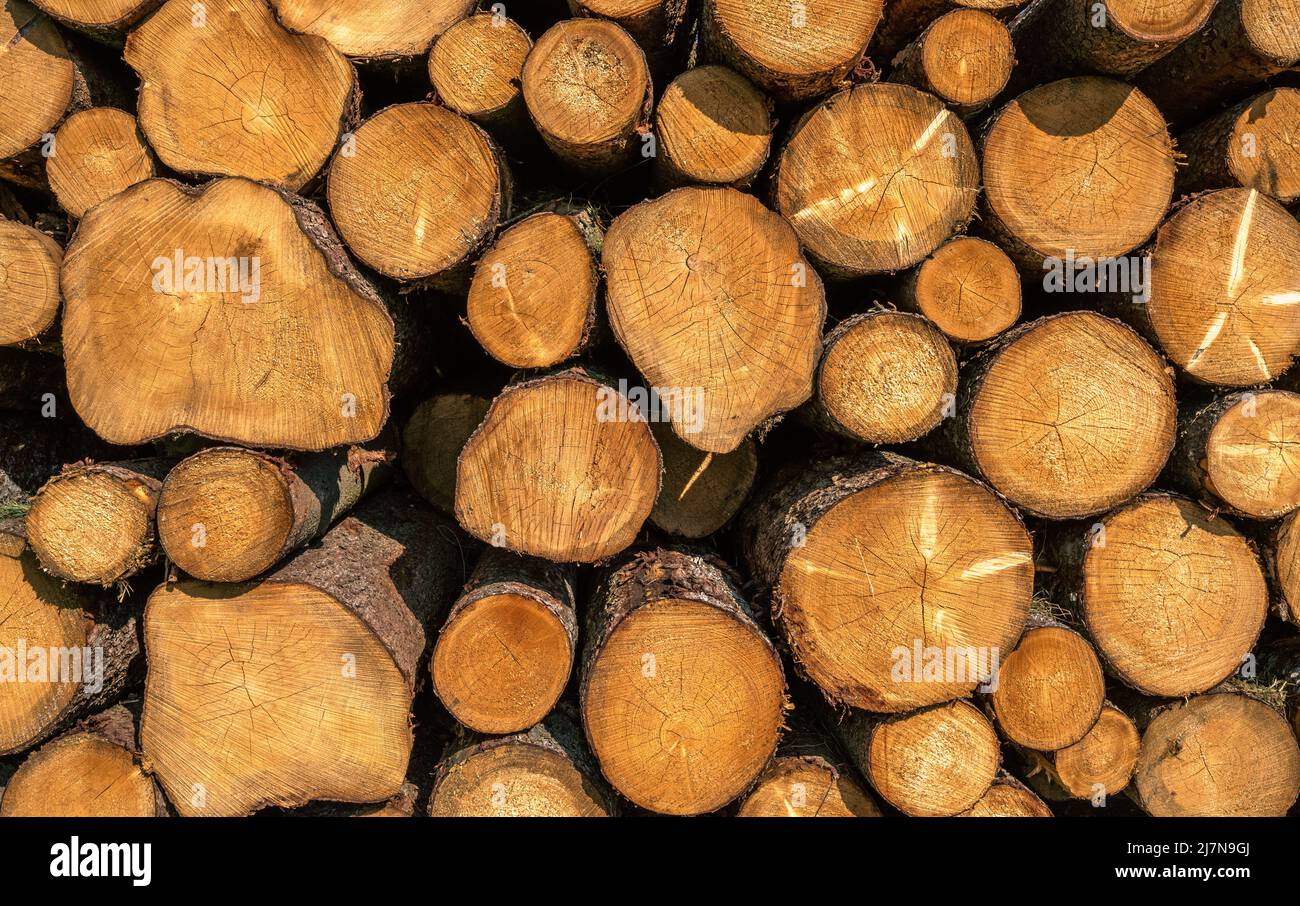 Stem stacked hi-res stock photography and images - Alamy