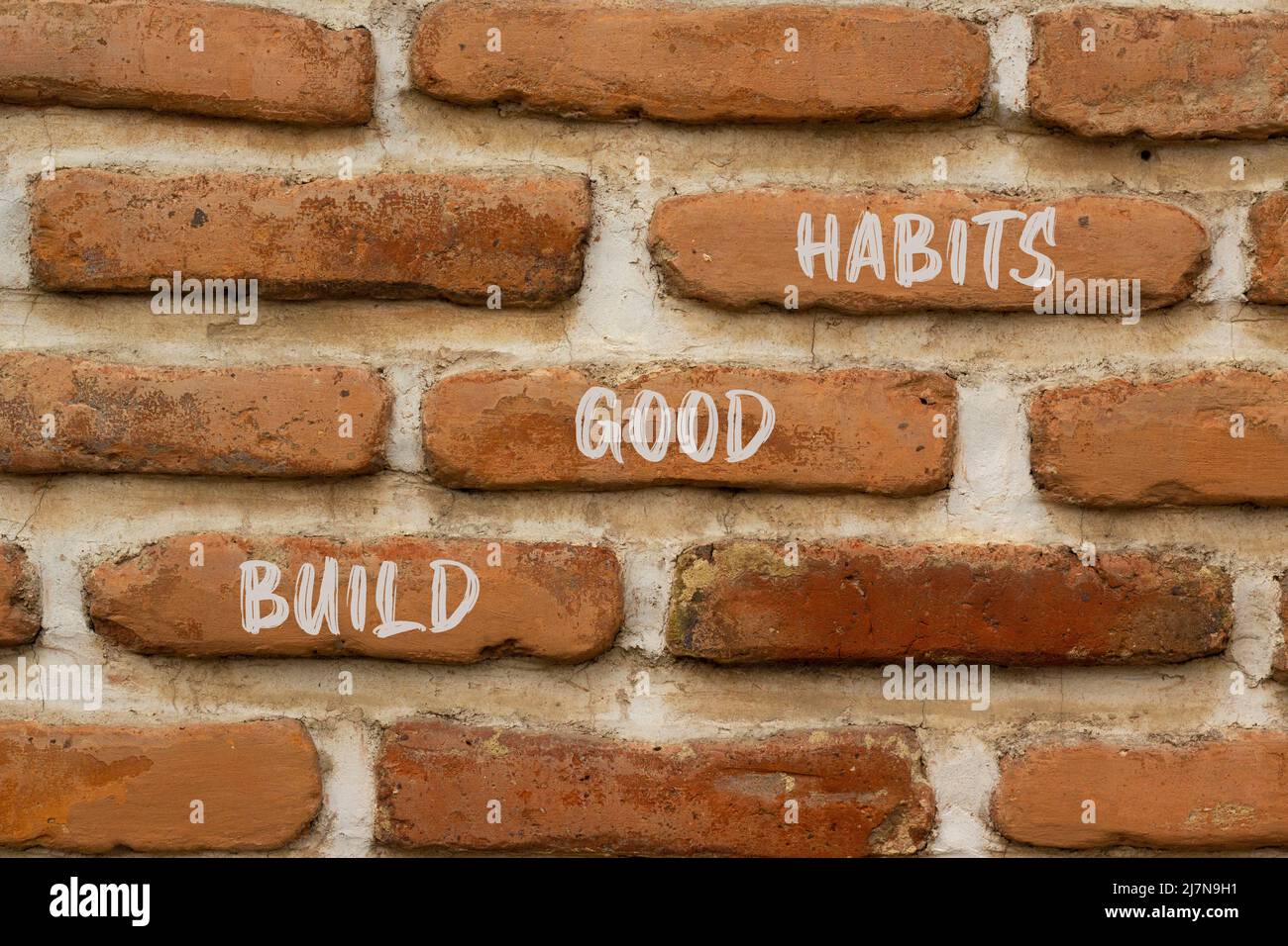 Build good habits symbol. Concept words Build good habits on brick wall ...