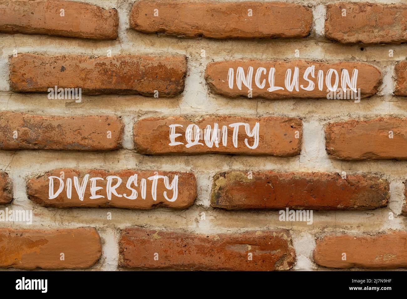 Diversity equity inclusion symbol. Concept words Diversity Equity ...