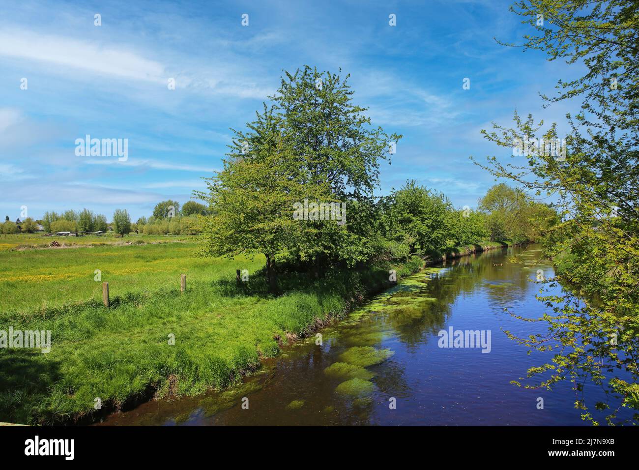 Beautiful rural lower rhine landscape with river Niers, trees, green ...