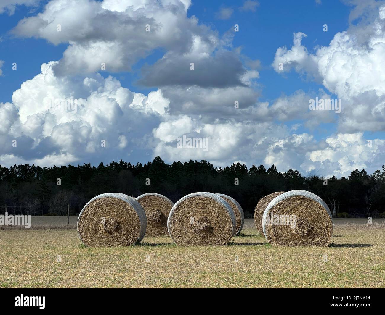 Georgia farm farming agriculture hi-res stock photography and images ...