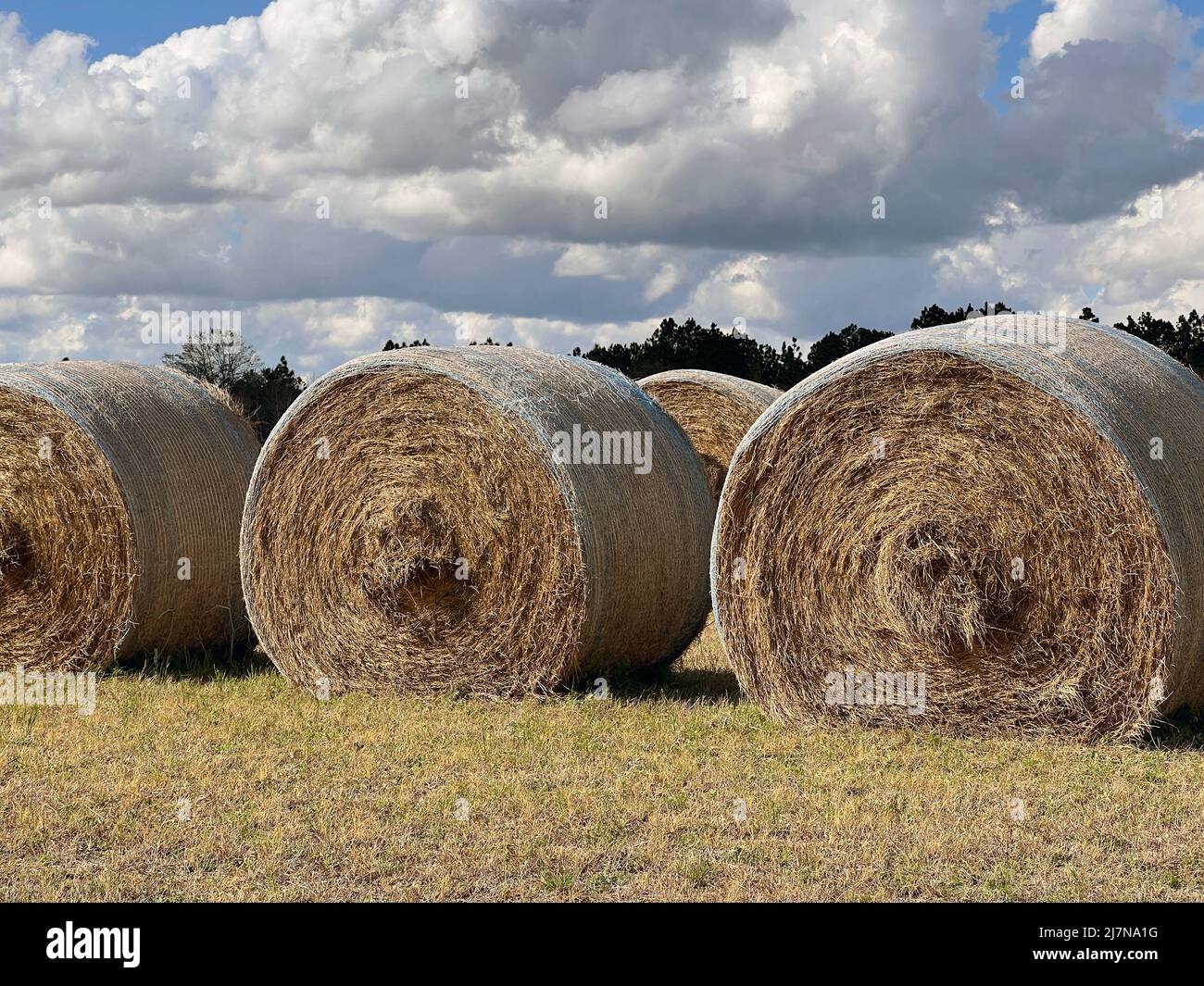 Georgia farm farming agriculture hi-res stock photography and images ...