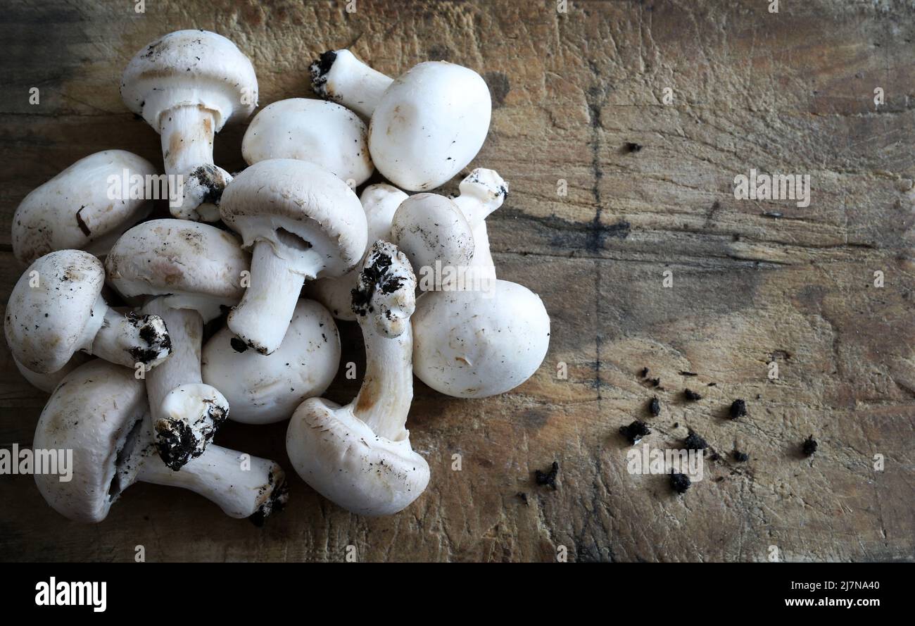 Group of champignon mushroom on rustic background. Healthy food ...