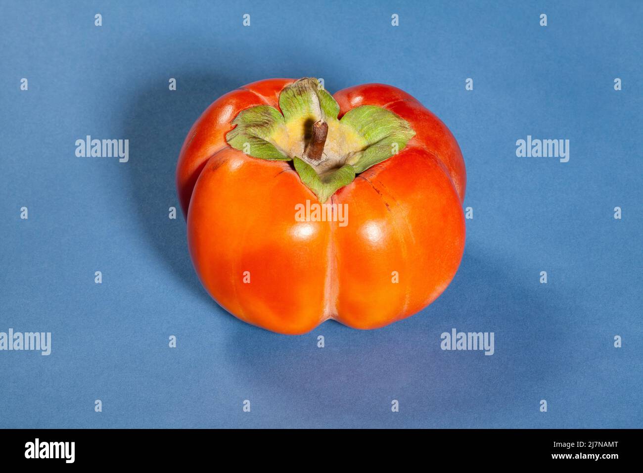 one persimmon on blue background Stock Photo - Alamy