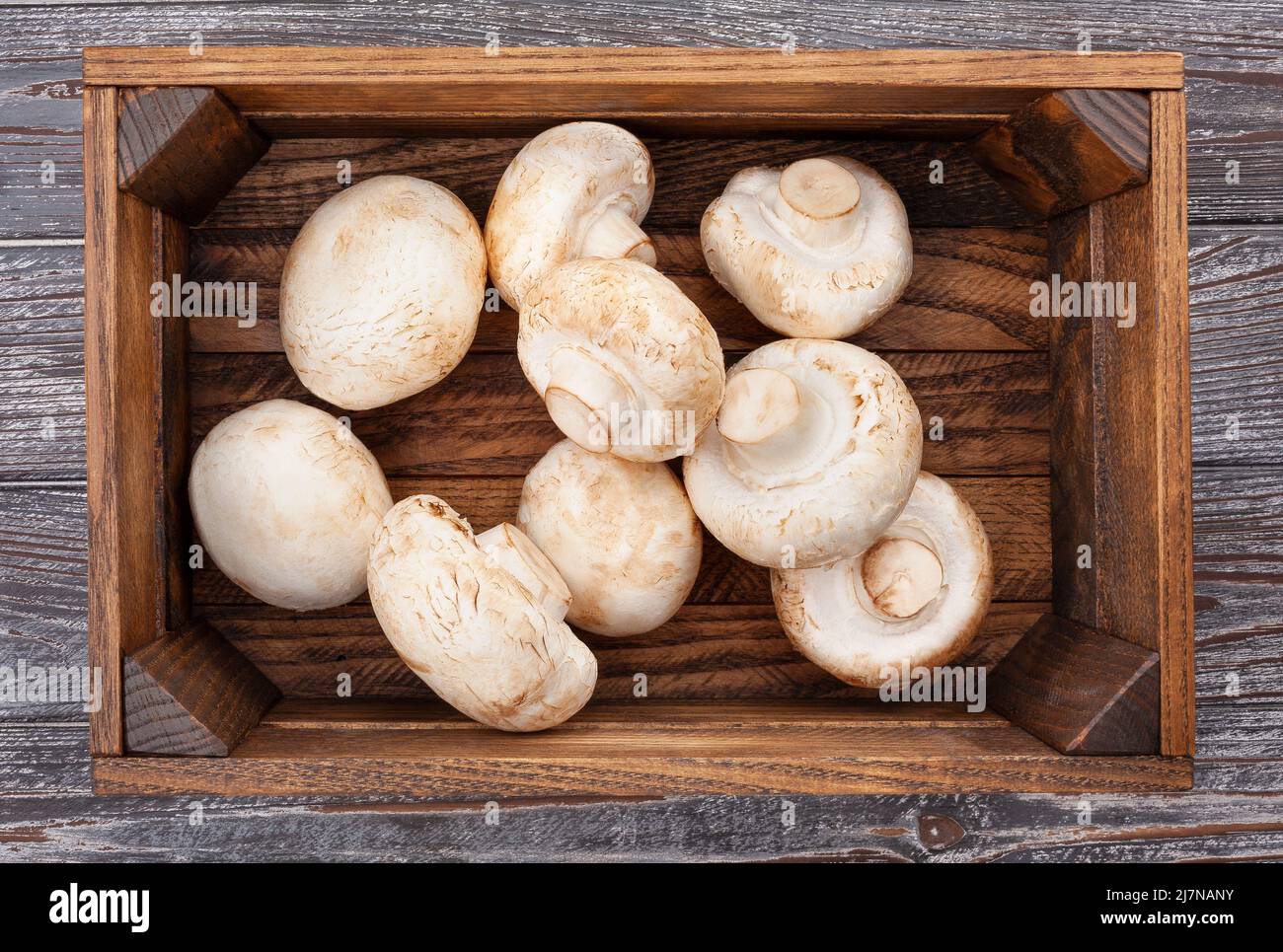 Box mushrooms hi-res stock photography and images - Alamy