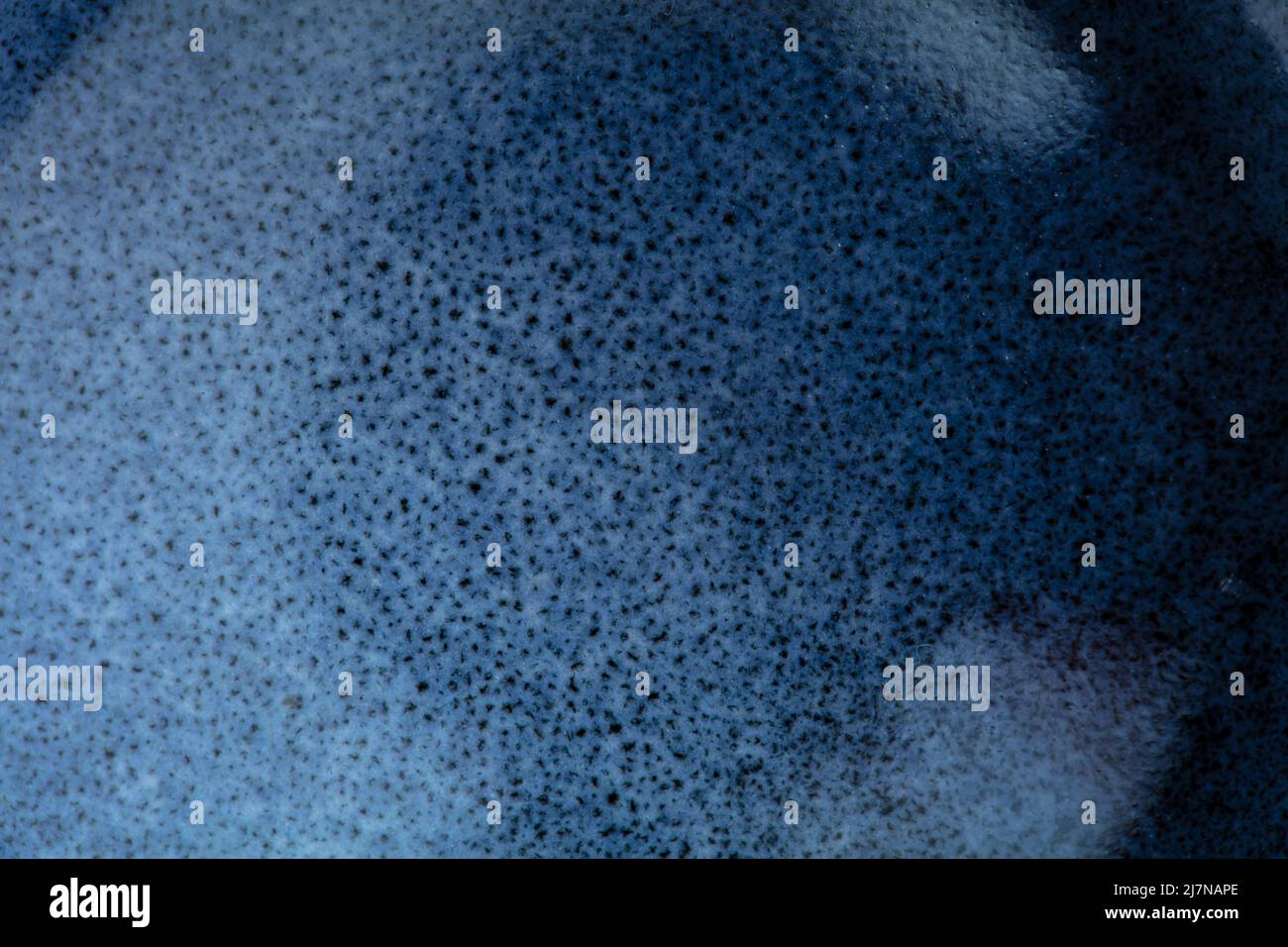 blue ceramic textured background, pattern, wallpaper for design purpose ...