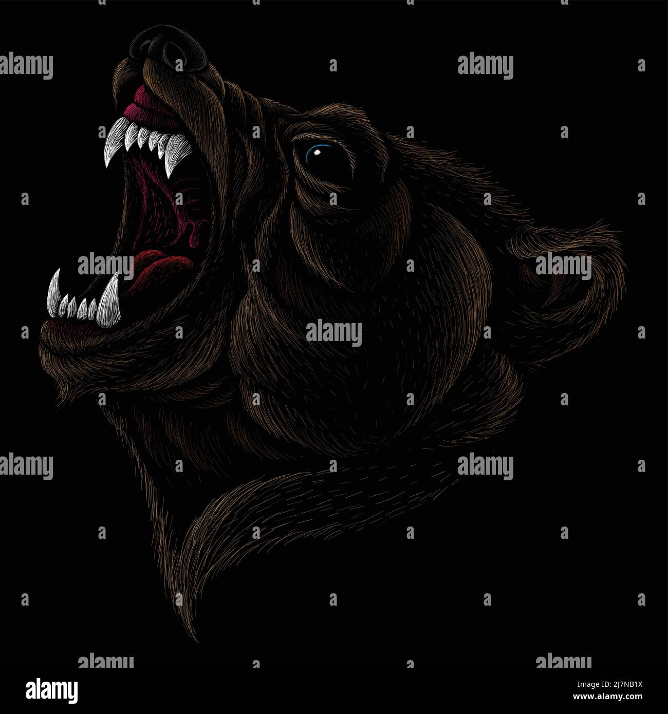 Old type bear Stock Vector Images - Alamy