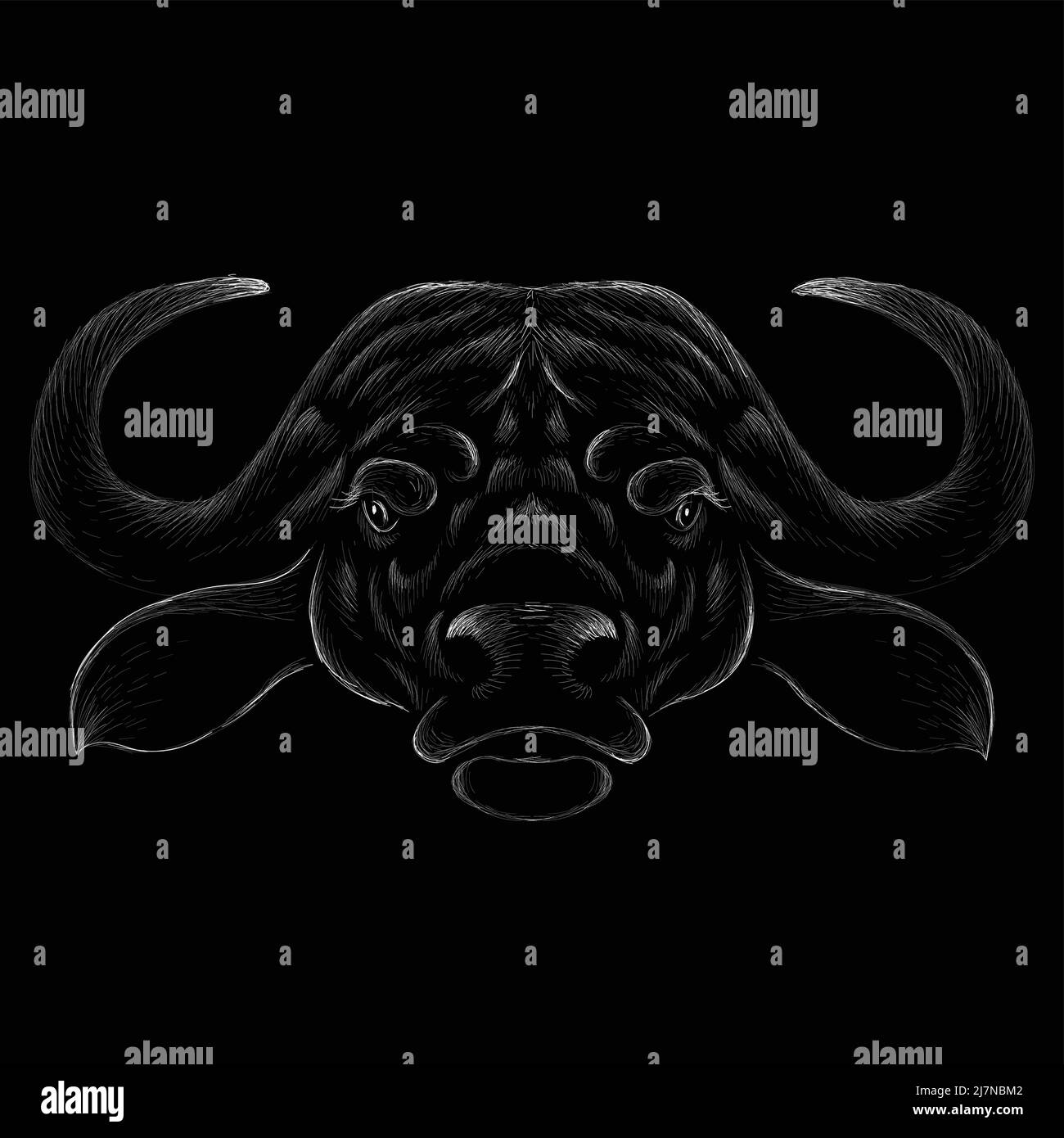 The Vector logo bull for T-shirt design or outwear. Hunting style bull ...